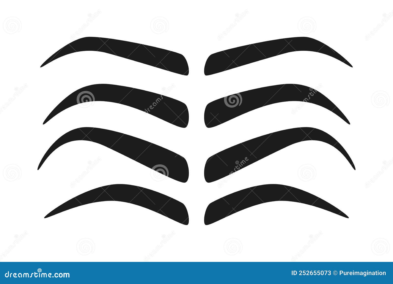 Eyebrow Shapes Chart With Brow Types Vector Illustration ...