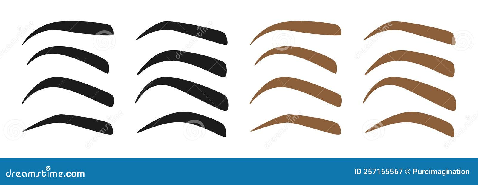 Eyebrow Shapes Chart With Brow Types Vector Illustration ...