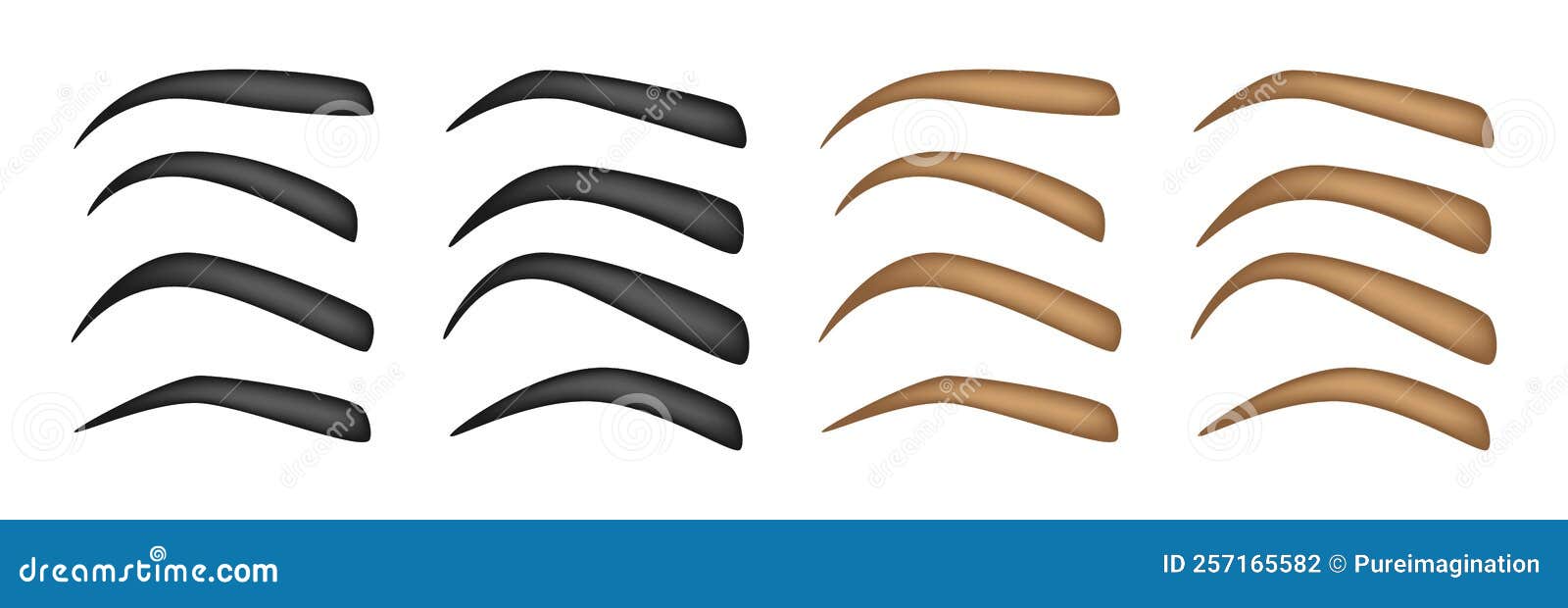 Eyebrow Shapes Chart With Brow Types Vector Illustration ...