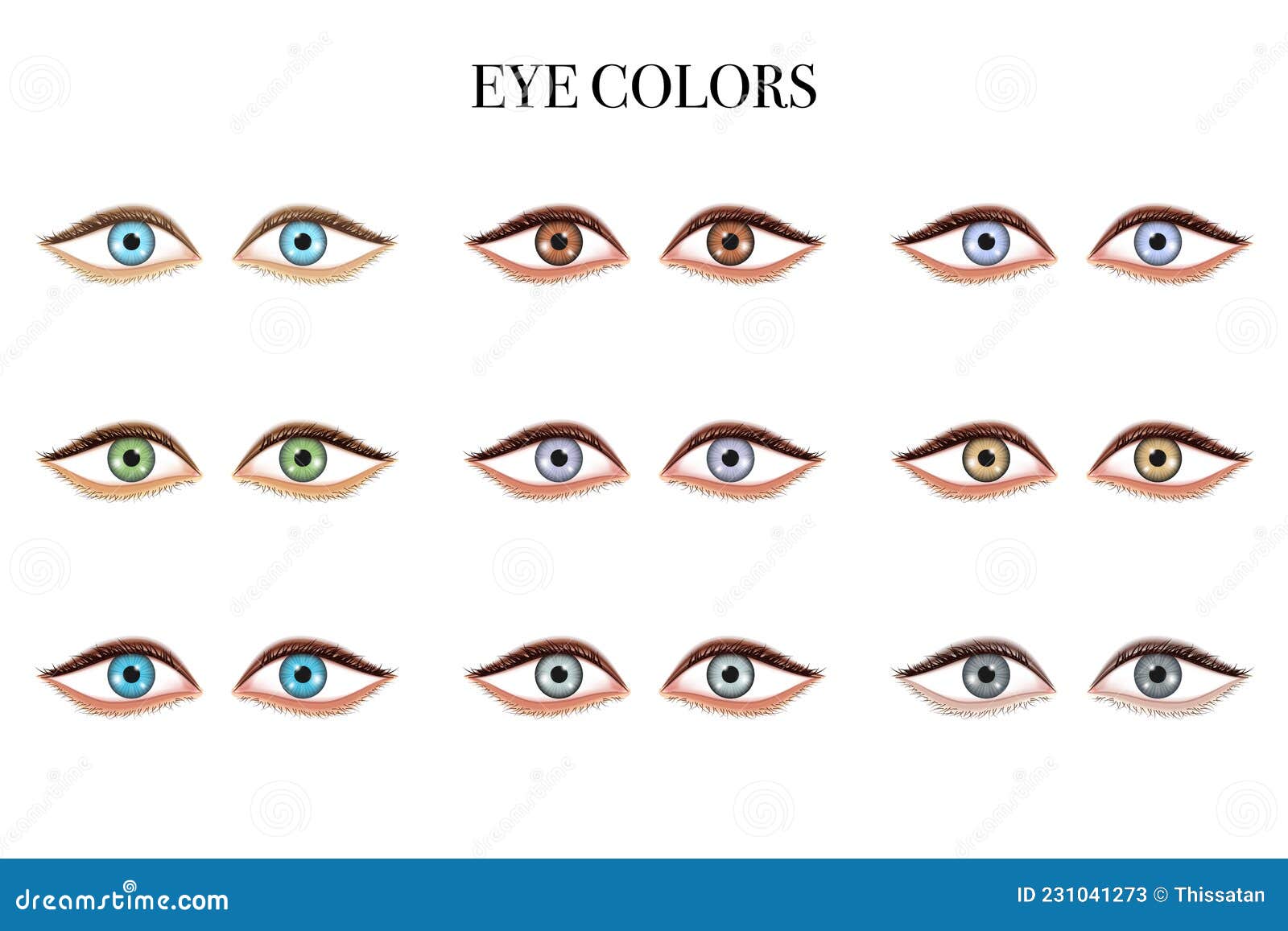 Eye Shape Chart Drawing