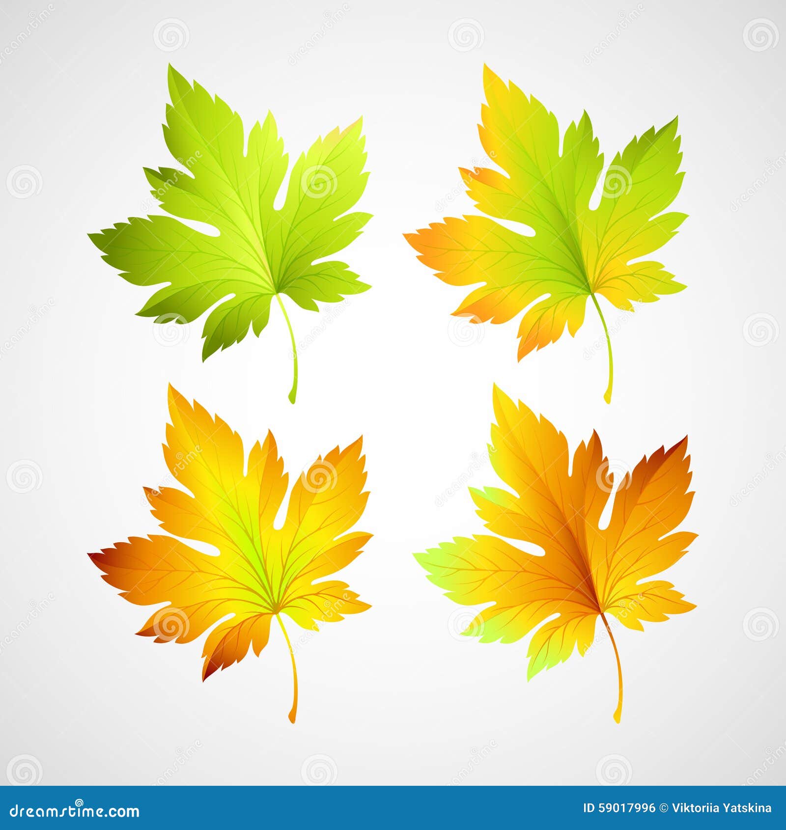 Set Fall Vector Leaves for Your Design Stock Vector - Illustration of ...