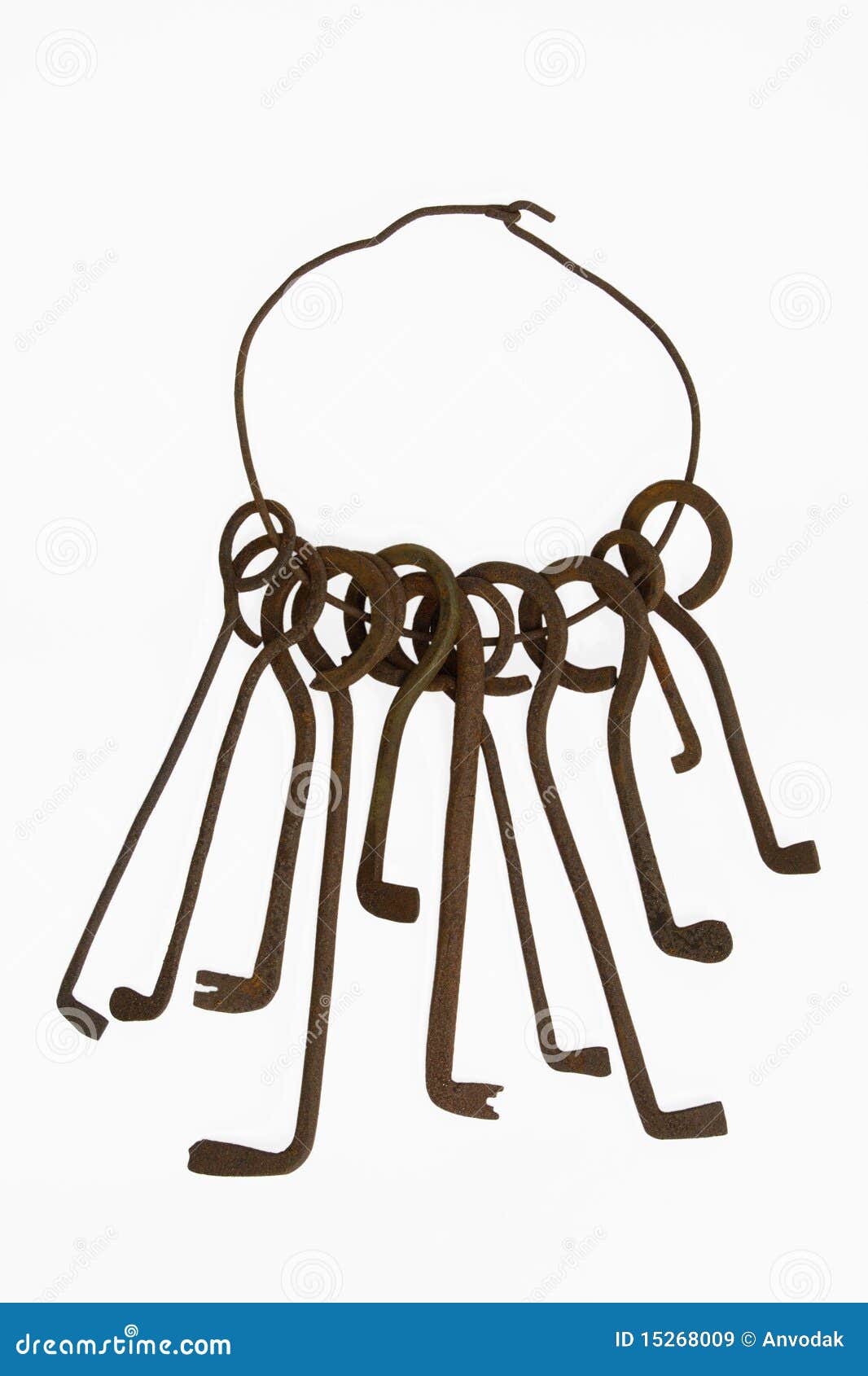 Set of a false keys stock image. Image of lock, collection - 15268009
