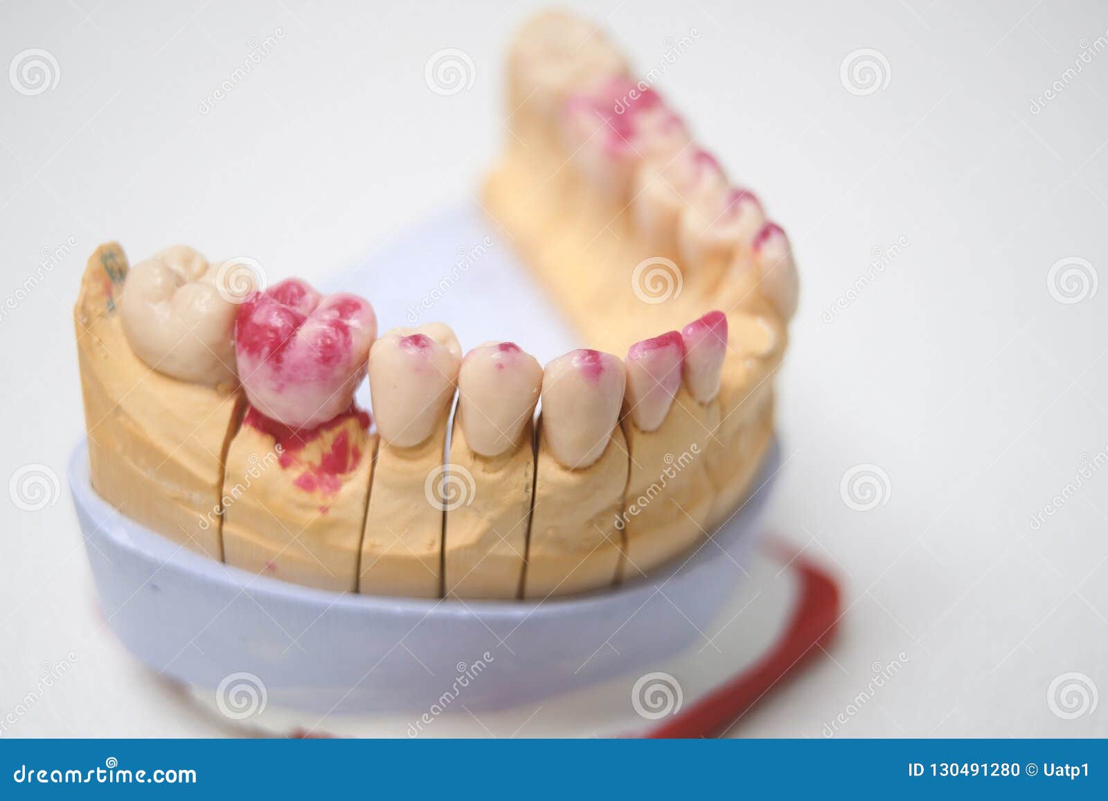 Set of the false teeth stock photo. Image of empty, equipment - 130491280