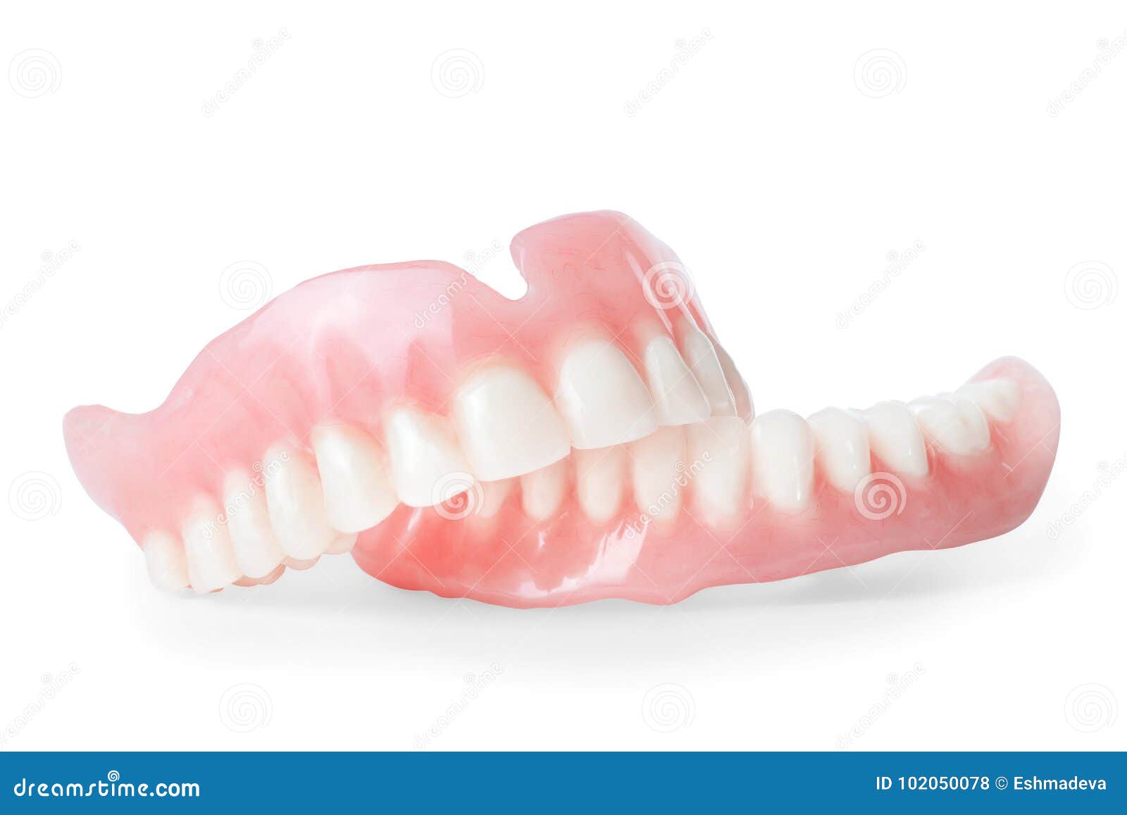 Set of False Teeth Isolated Stock Photo - Image of prosthetic, human ...