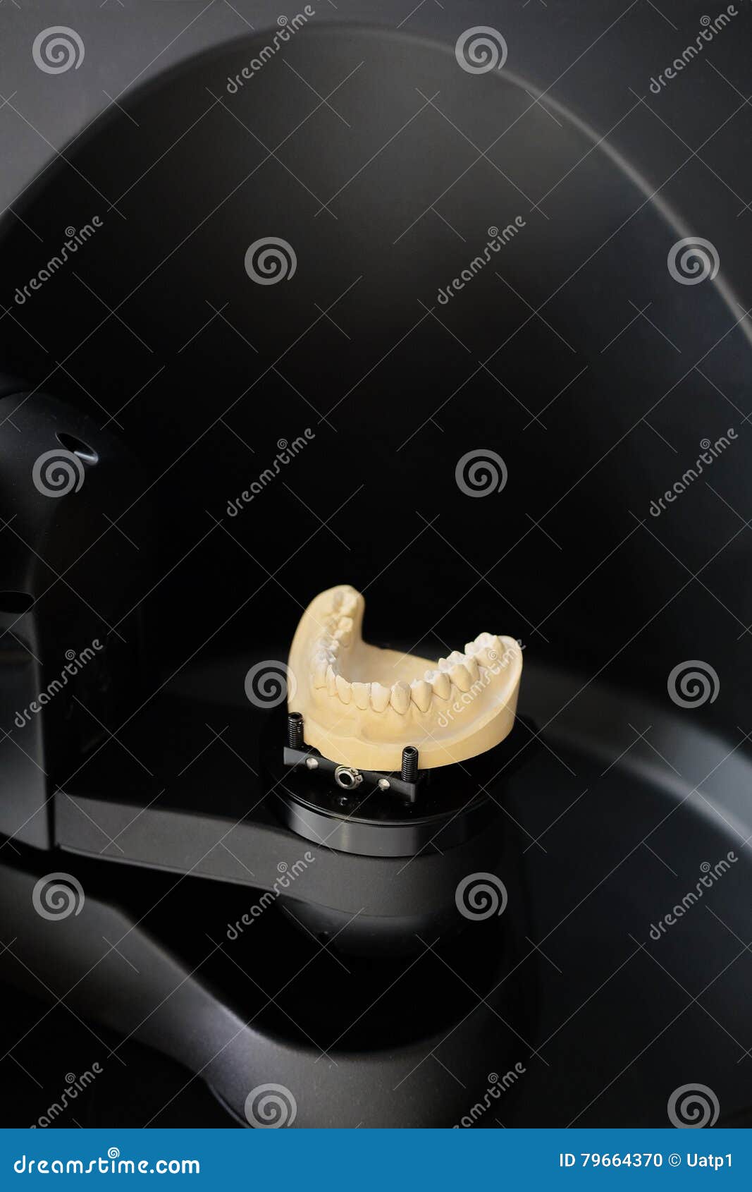Set of False Teeth Processed in the Special Device for Dentists Stock ...