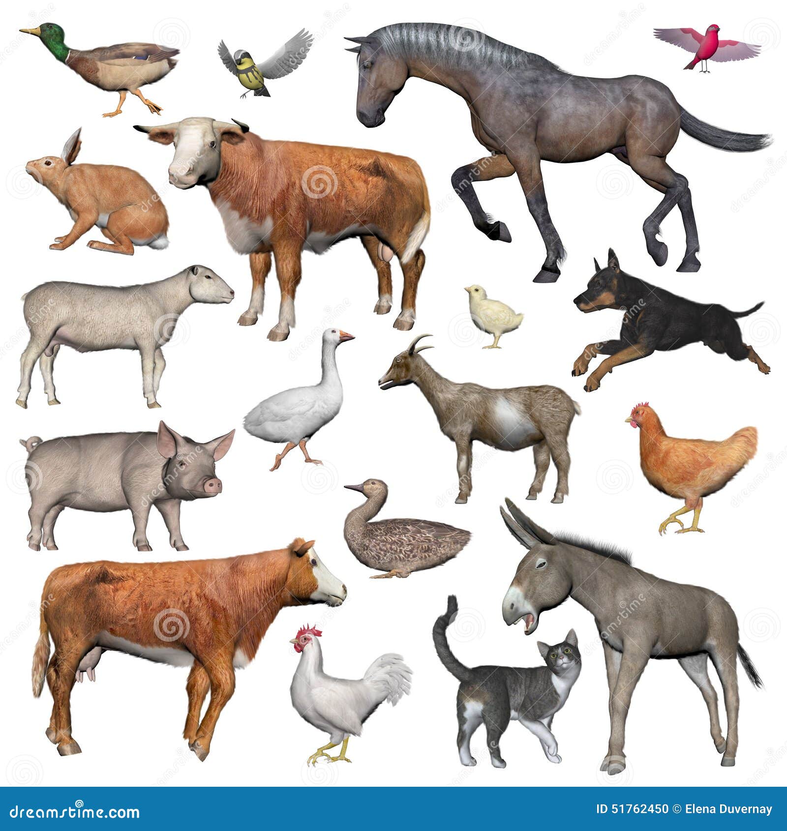 Set of Farm Animals - 3D Render Stock Illustration - Illustration of ...
