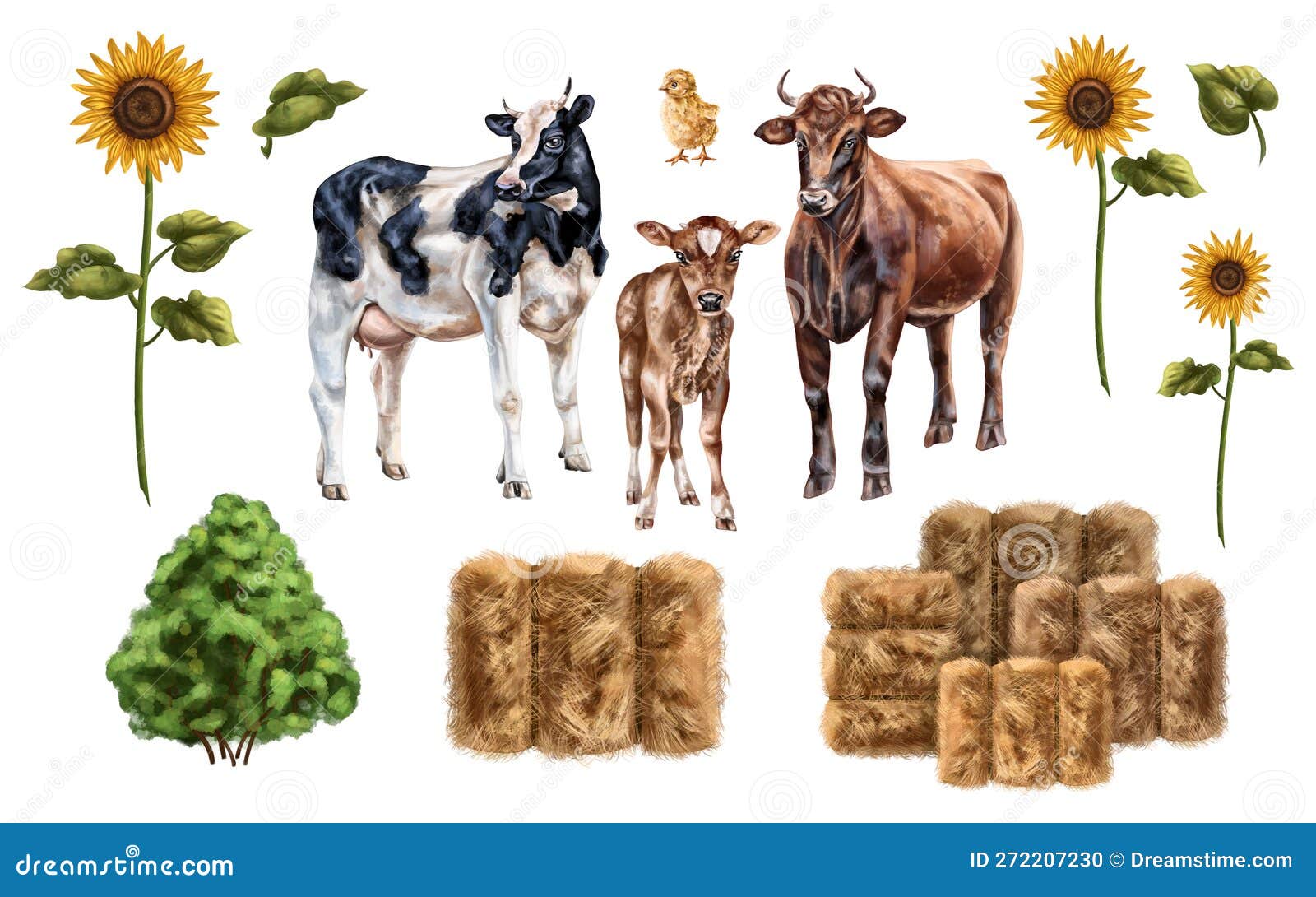 Farm Cows. Vector Design Of The Head Of Three Cows On A White ...