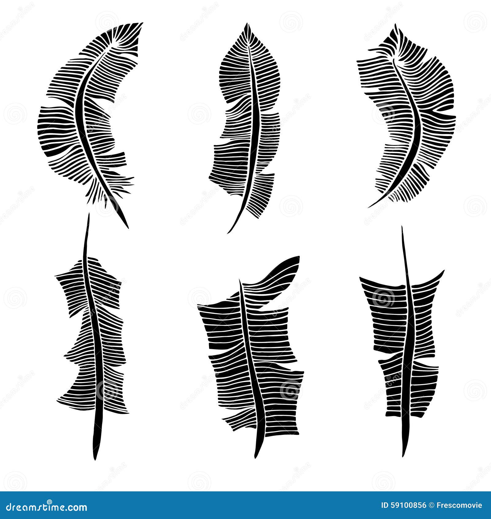 Set of feathers stock vector. Illustration of icon, american - 59100856