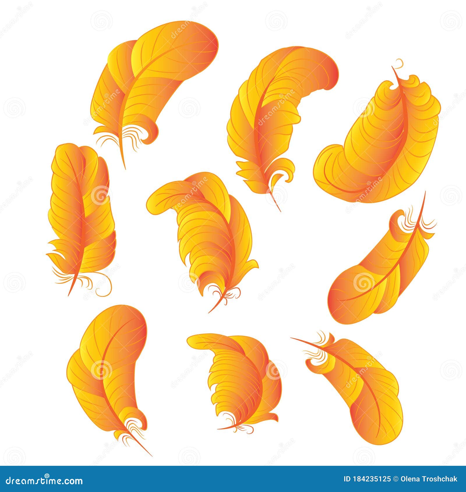 Set of Feathers in Gold Gradient Color Stock Vector - Illustration of ...