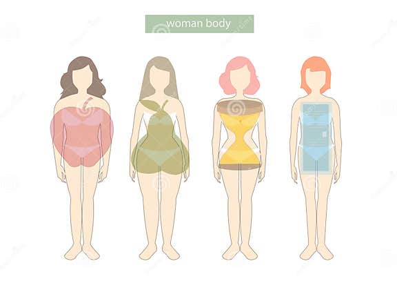 Set of Female Body Shape Types, Illustrations Stock Illustration ...