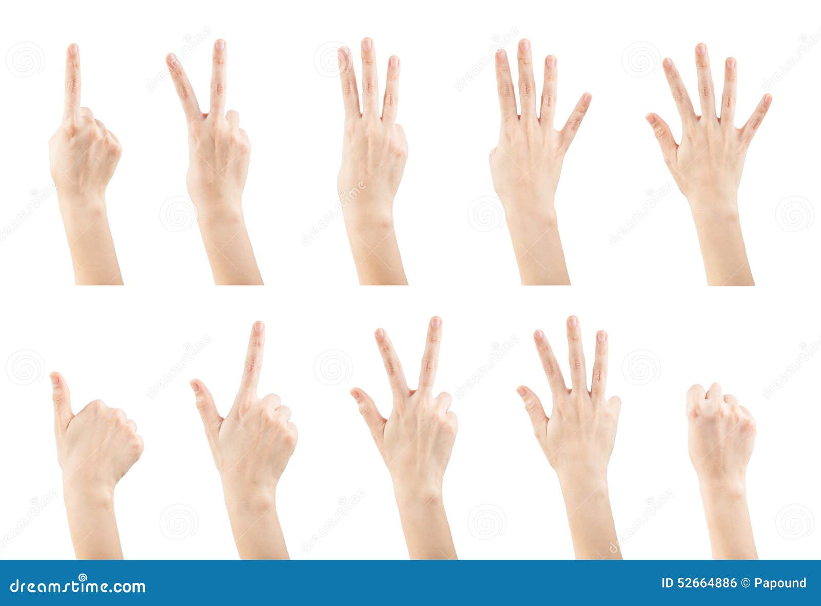 Two Hands Gestures Royalty-Free Stock Photo | CartoonDealer.com #124386027