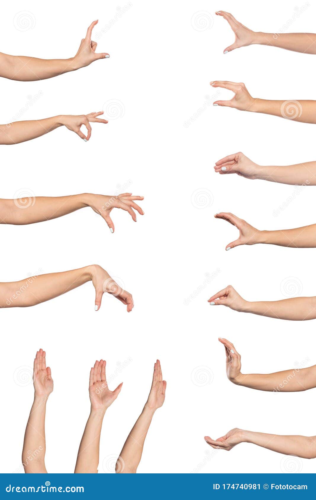 Set Of Female Hands Isolated On White Background Image Stock Image