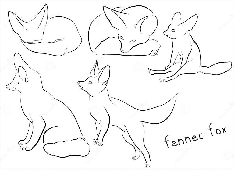 Set Fennec Foxes Vector Illustrations Stock Vector - Illustration of ...