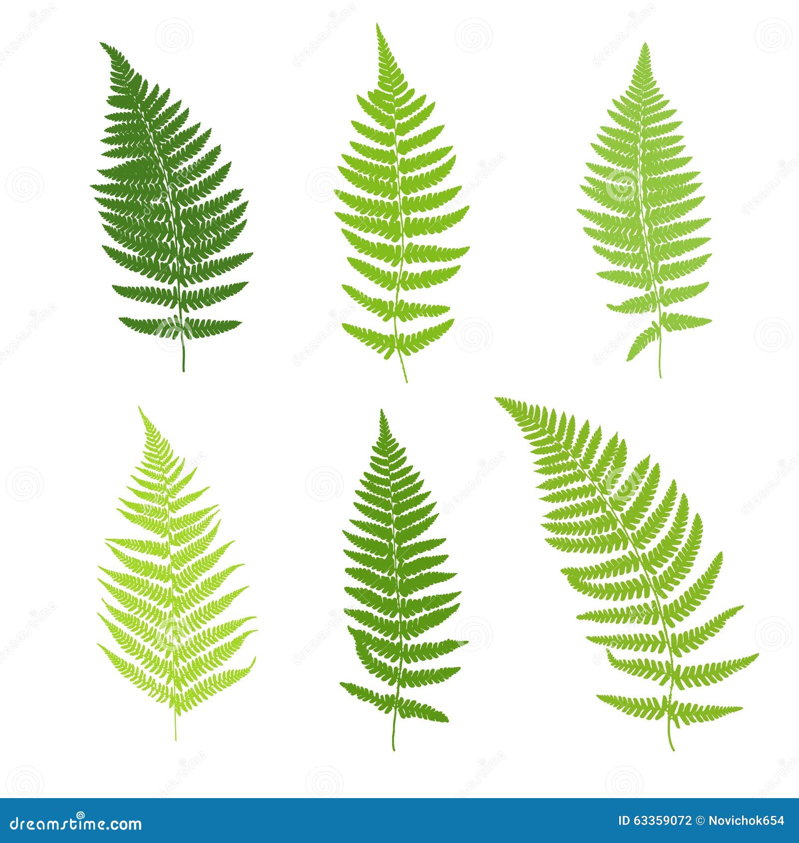 Set of Fern Frond Silhouettes. Stock Vector - Illustration of flora ...