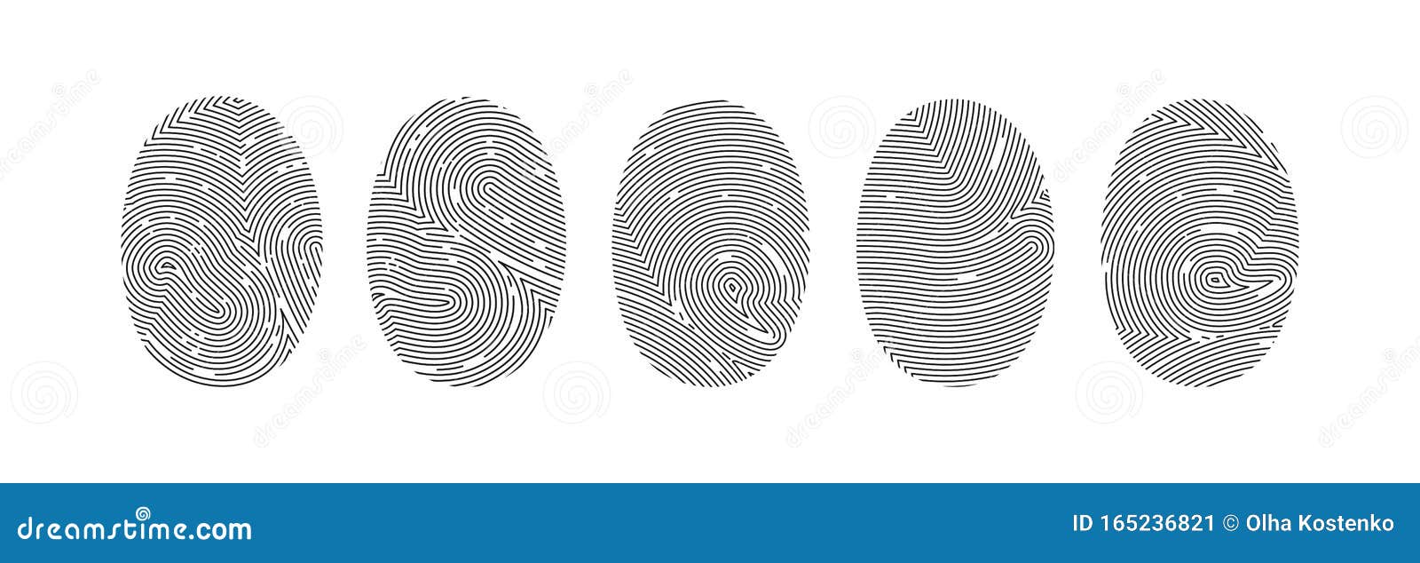 Fingerprint Or Thumbprint Circle Icon Cartoon Vector | CartoonDealer ...