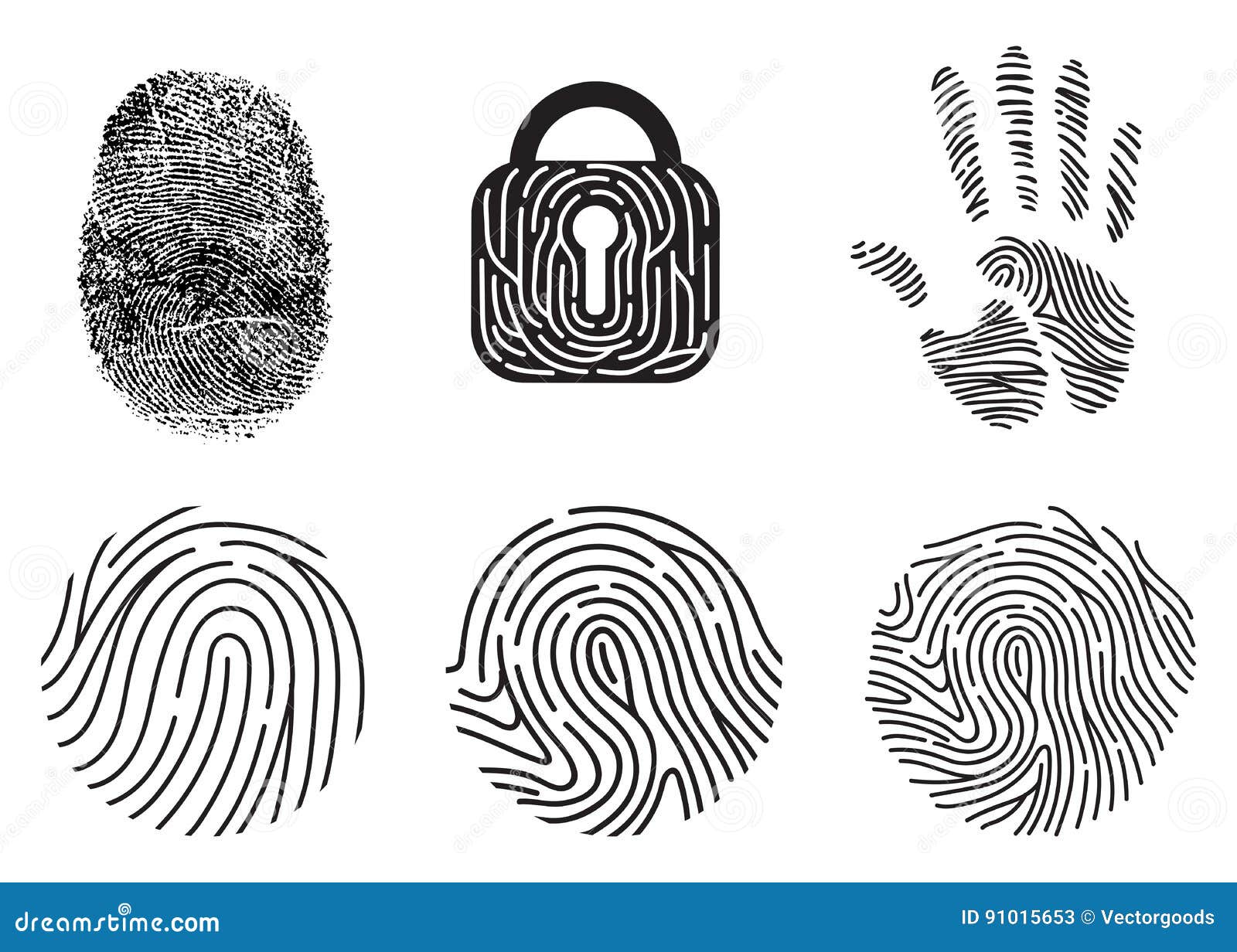 Fingerprint Vector Fingerprinting Identity With Fingertip ...