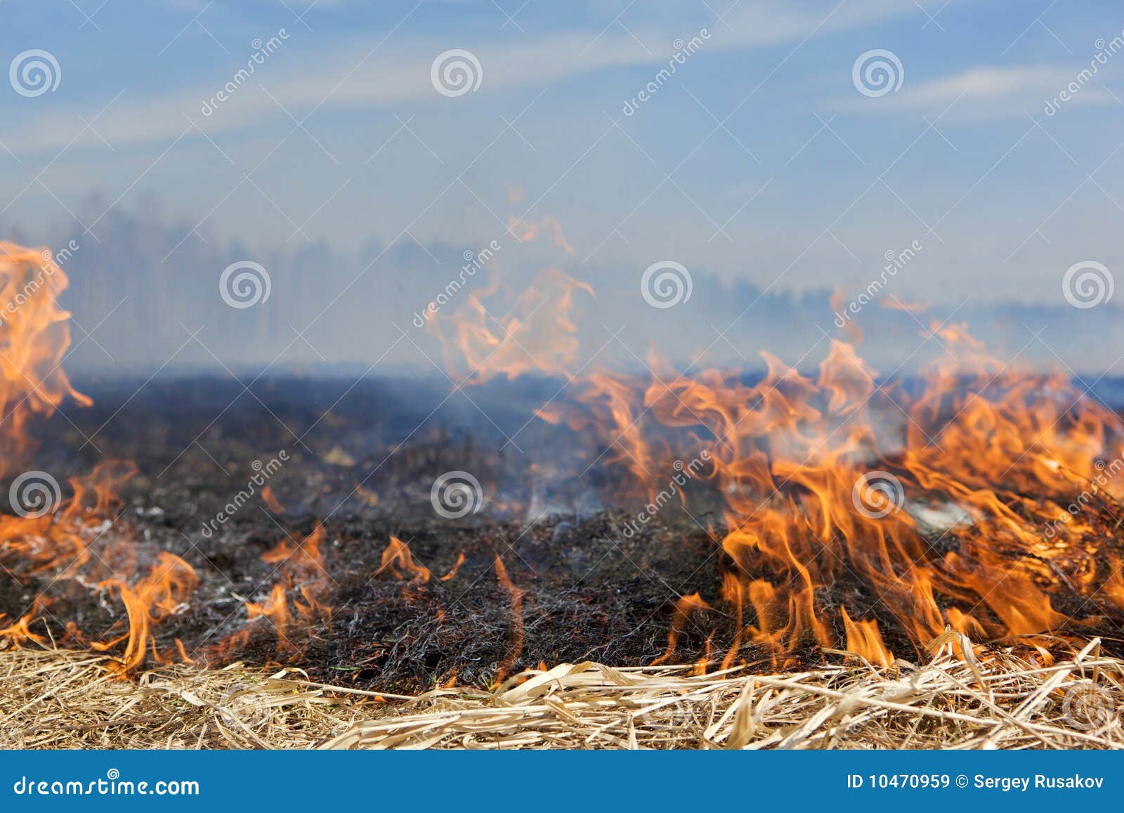 Set on fire. stock image. Image of forest, heat, pasture - 10470959