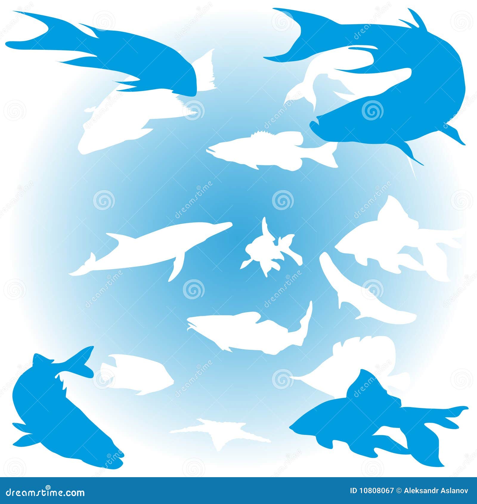 Set of fish stock vector. Illustration of aquarium, group - 10808067