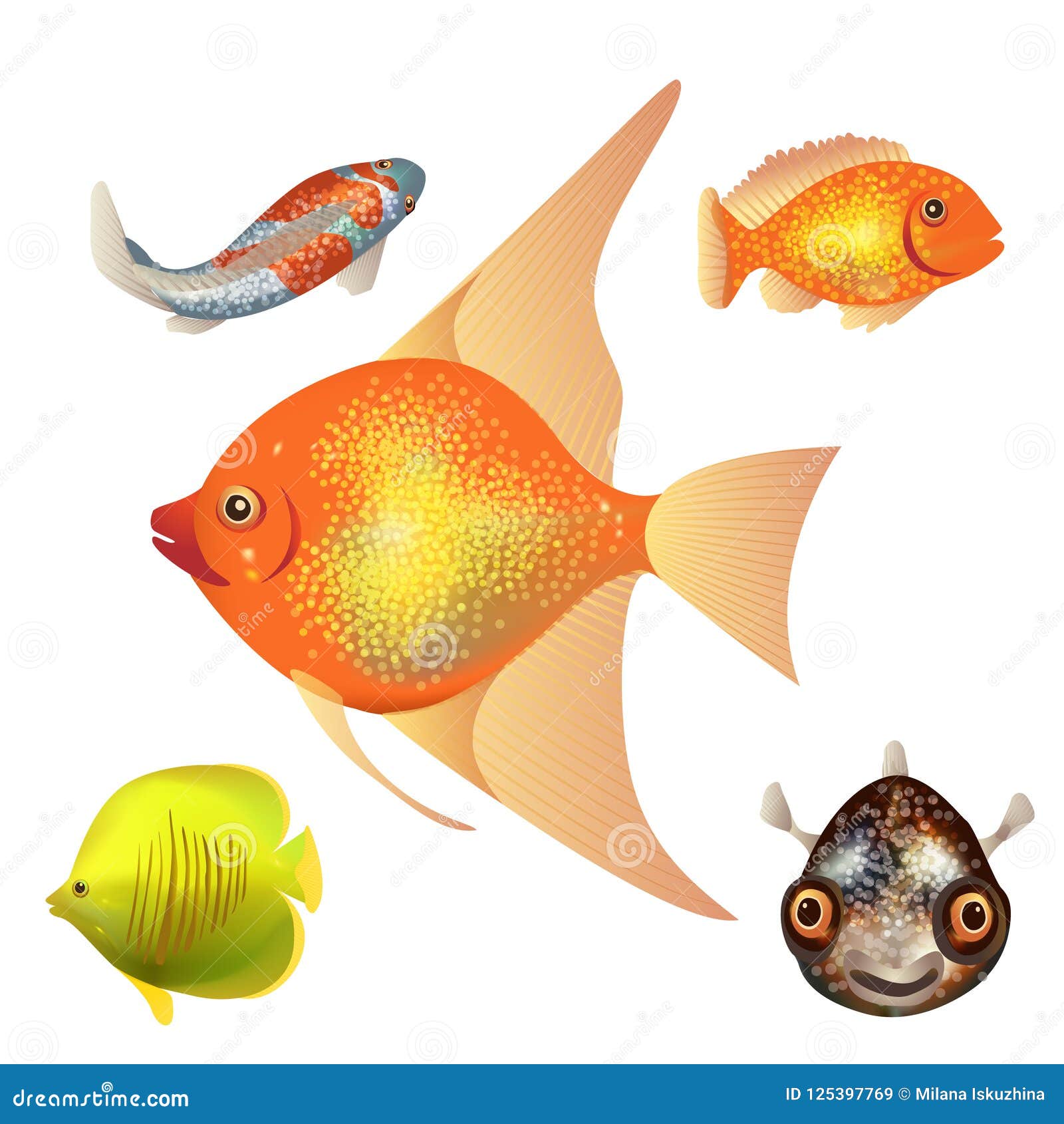 Set Of Fish. Different Types Of Fish, Colorful, With Bright Scales ... Set Of Fish. Different Types Of Fish, Colorful, With Bright Scales ...