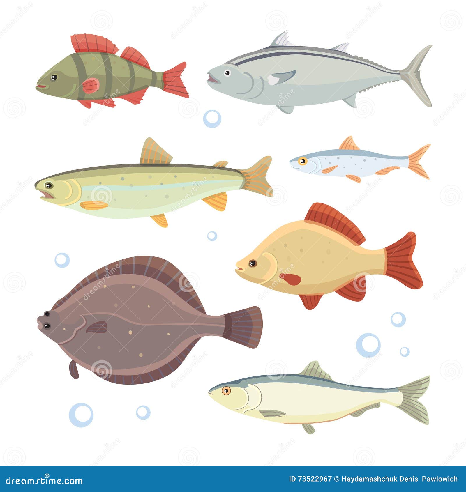 Set Fish Isolated. River Fish Vector Collection Stock Vector ...