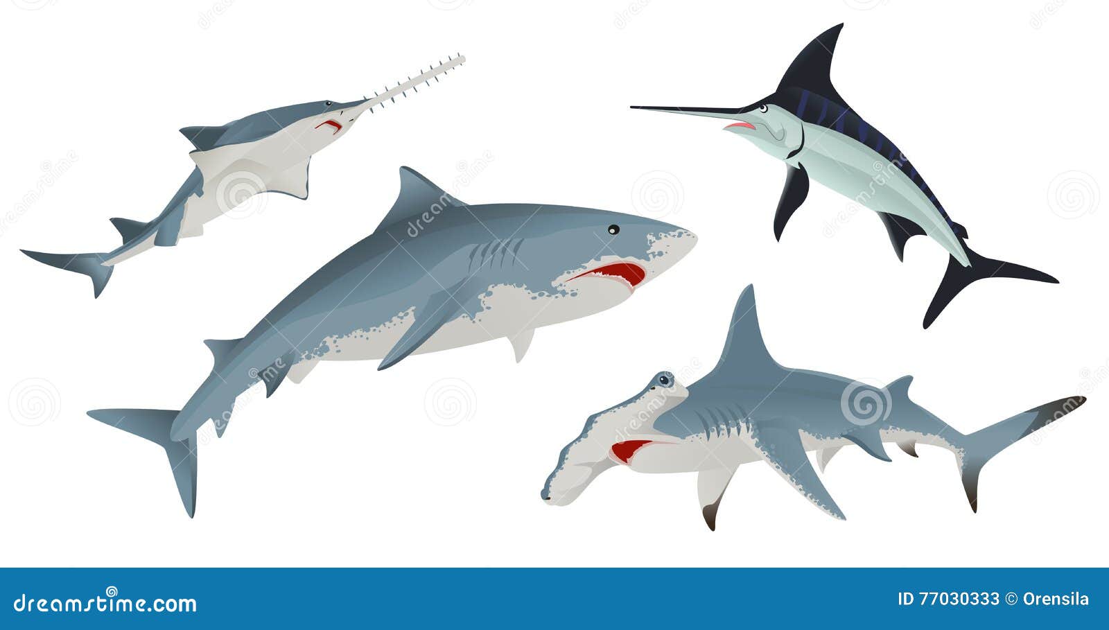 Sawfish Cartoons, Illustrations & Vector Stock Images - 170 Pictures to ...
