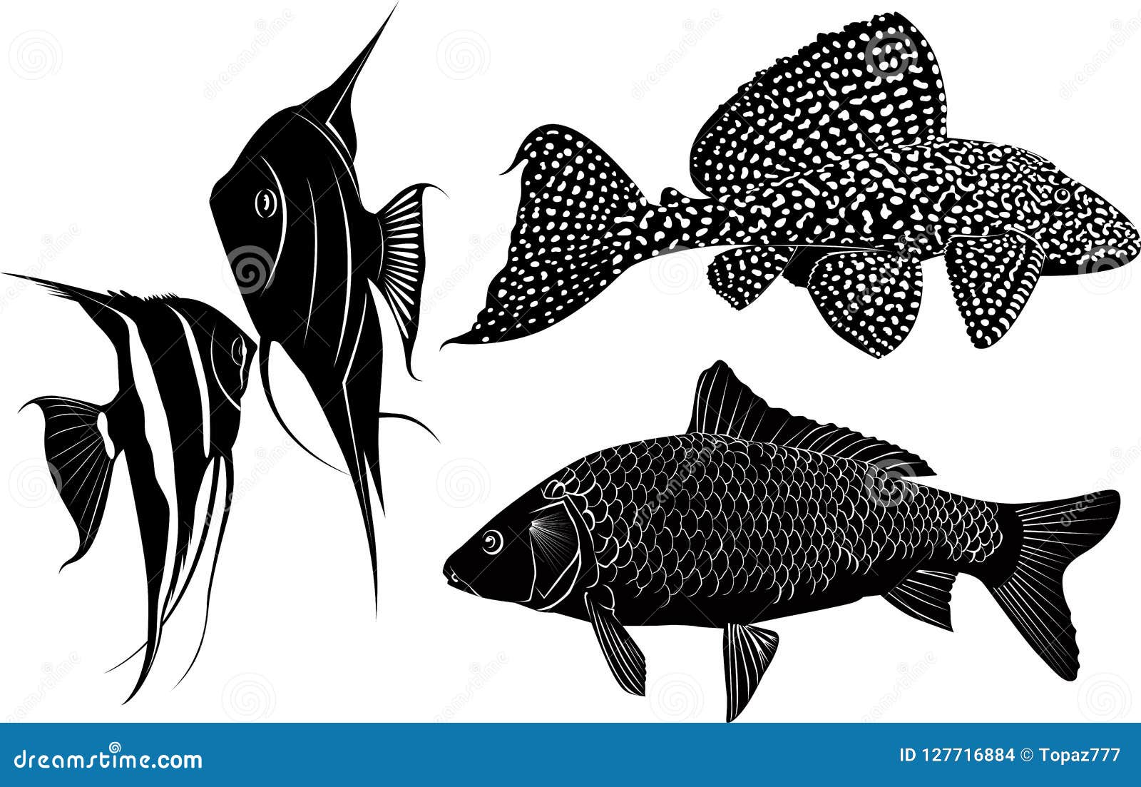 Fish Silhouettes Cartoon Vector | CartoonDealer.com #9061549