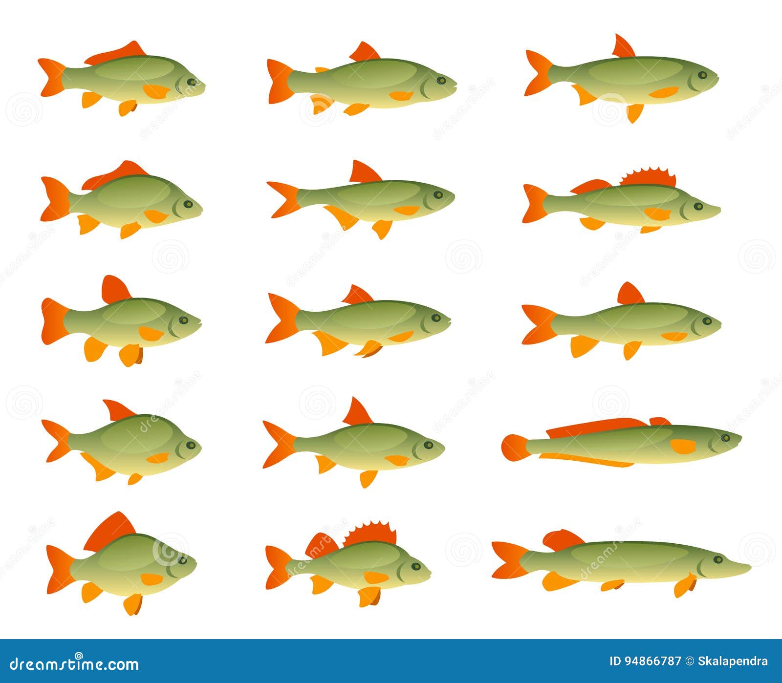 Set of fish stock vector. Illustration of aquatic, outline - 94866787