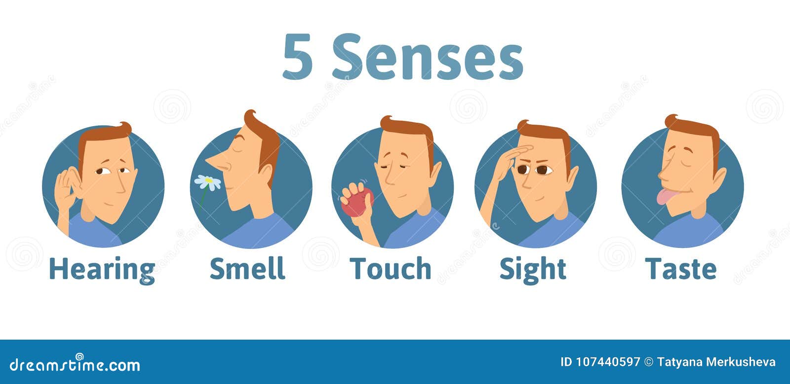 Set of Five Human Senses Icon: Hearing, Smell, Touch, Vision, Taste ... Set of Five Human Senses Icon: Hearing, Smell, Touch, Vision, Taste ...