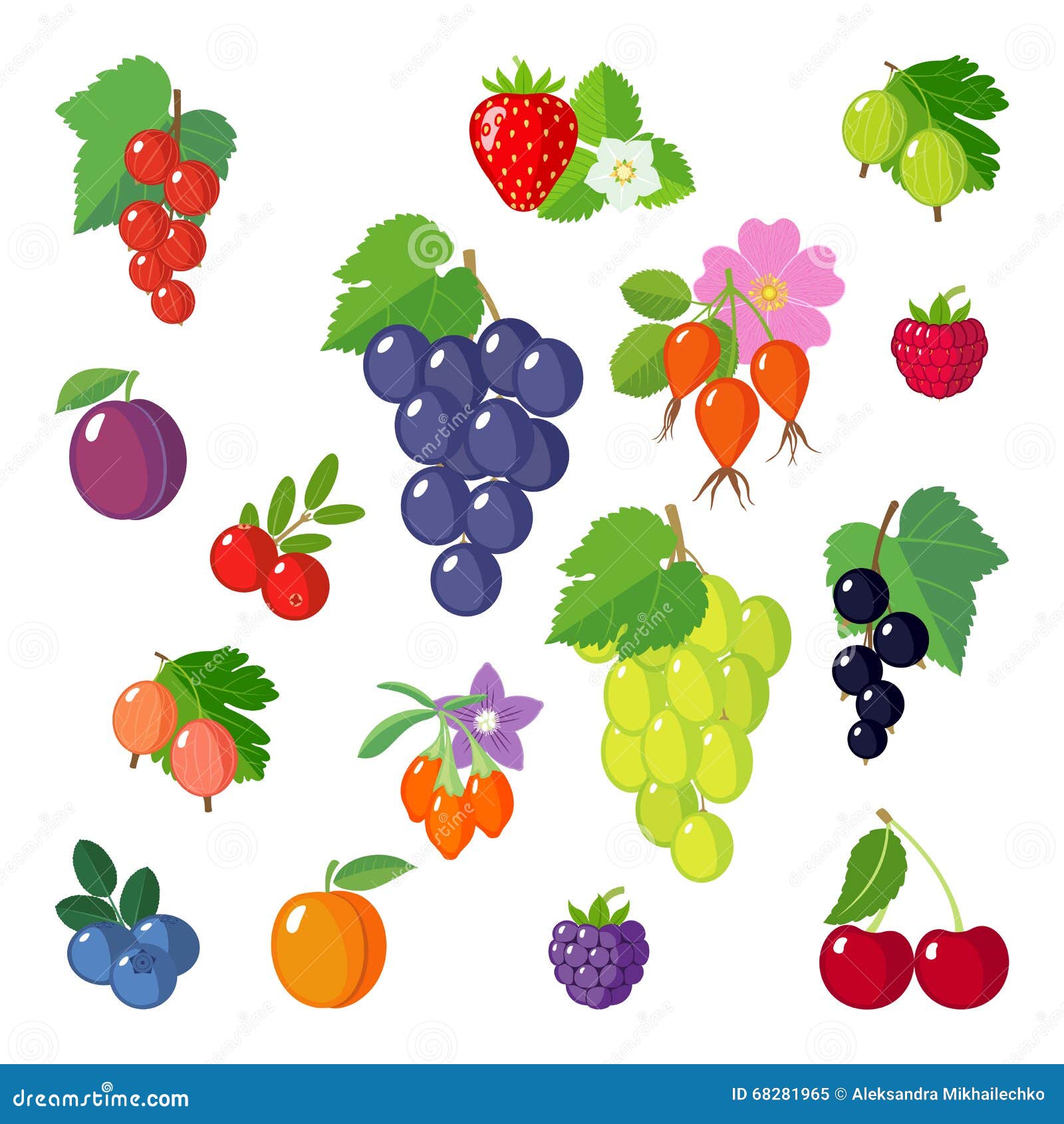 Set of flat berries. stock vector. Illustration of fruit - 68281965