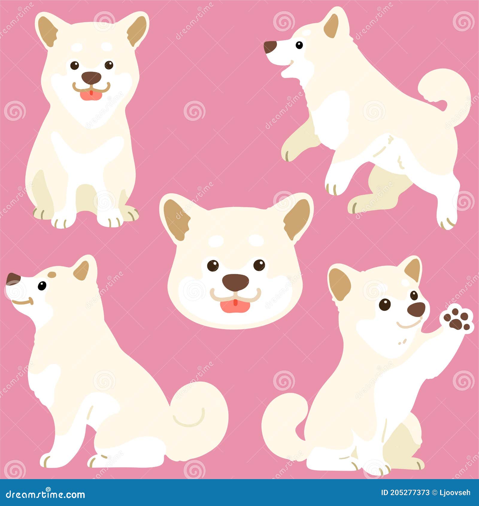 Set of Flat Colored White Shiba Inu Illustrations Stock Vector ...