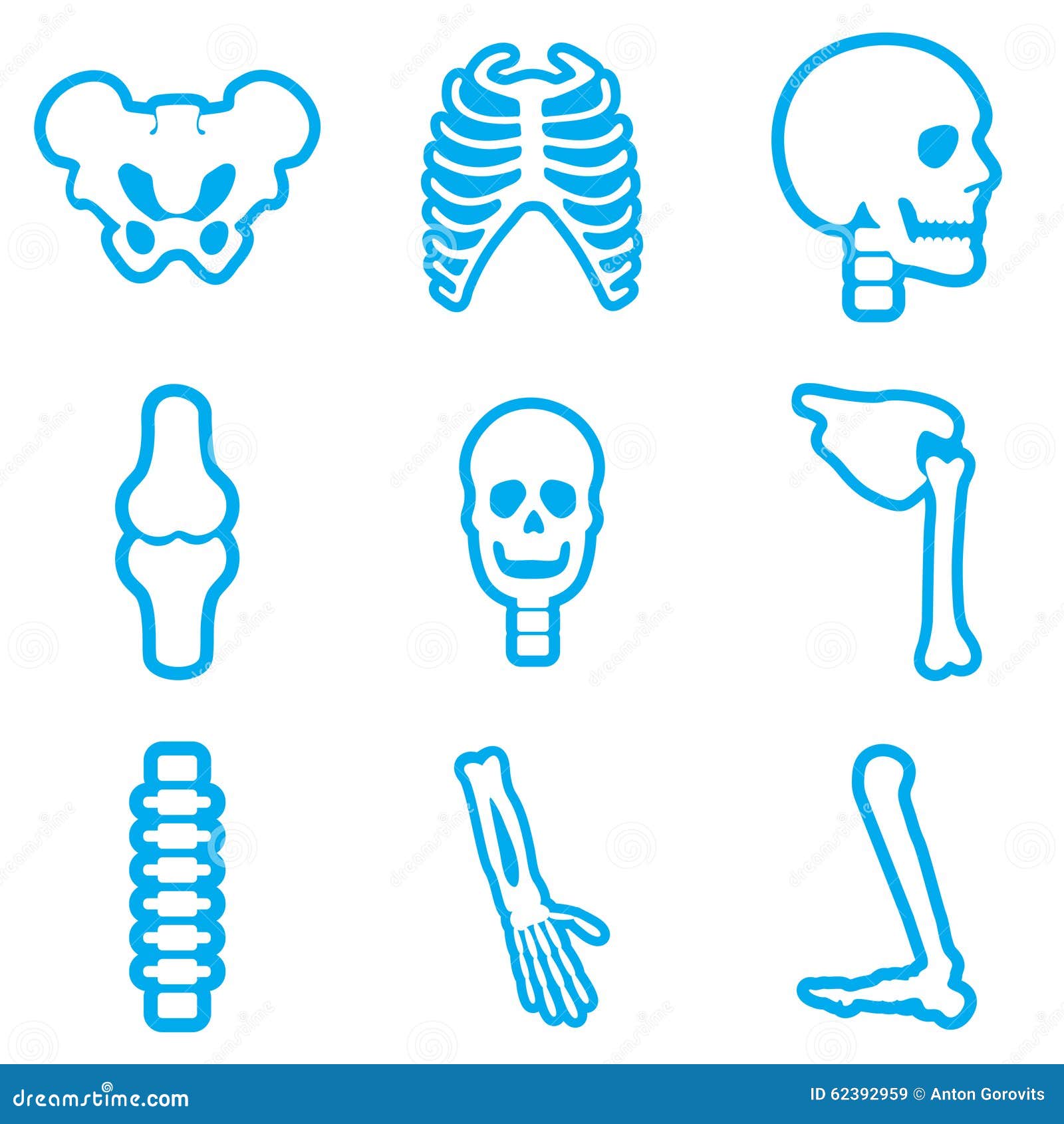 Set Flat Icons with Long Shadow Human Skeleton Stock Vector ...