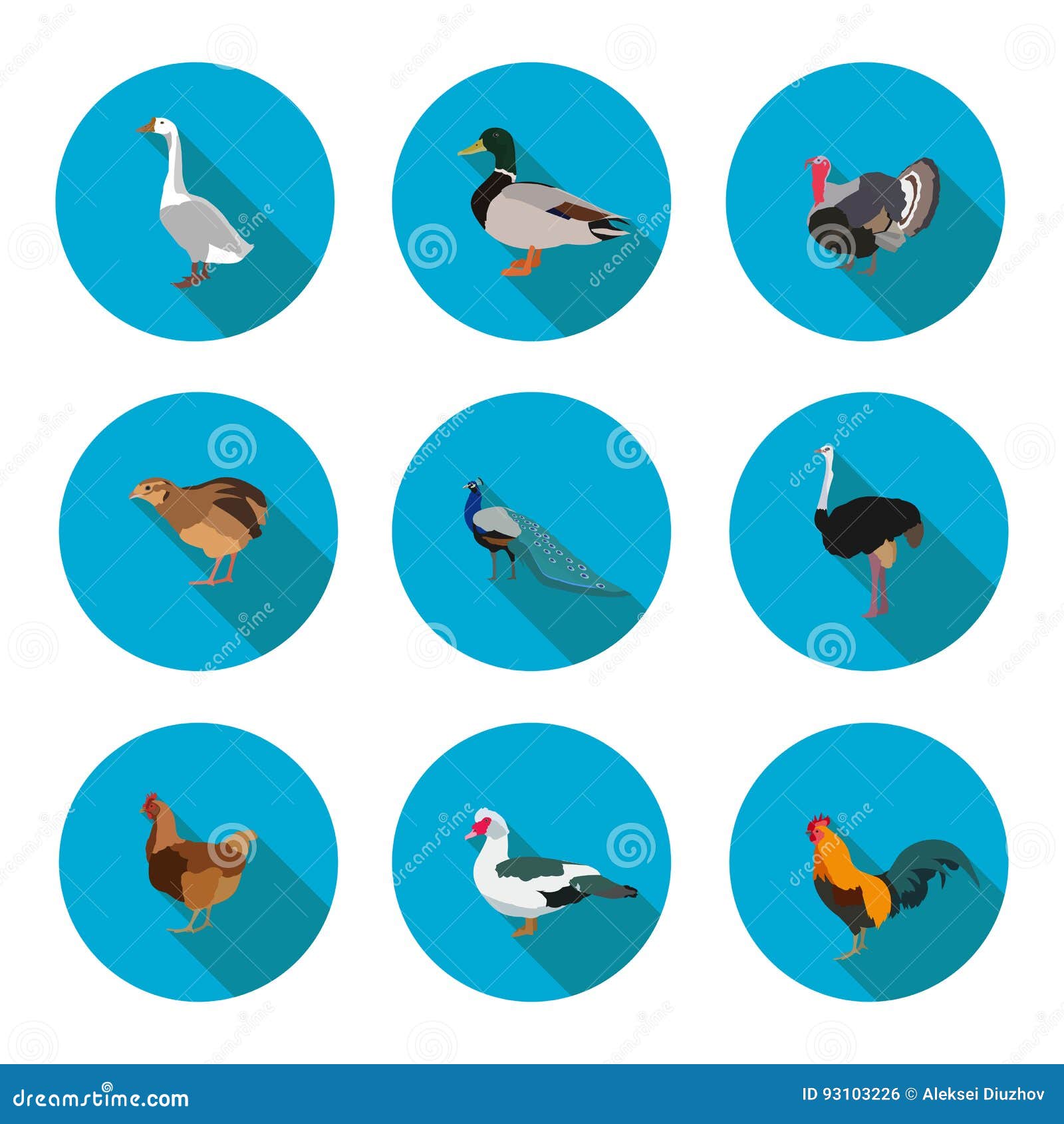 Icons Of Poultry Meat And Farm Animals, Vector Illustration Of The Line ...