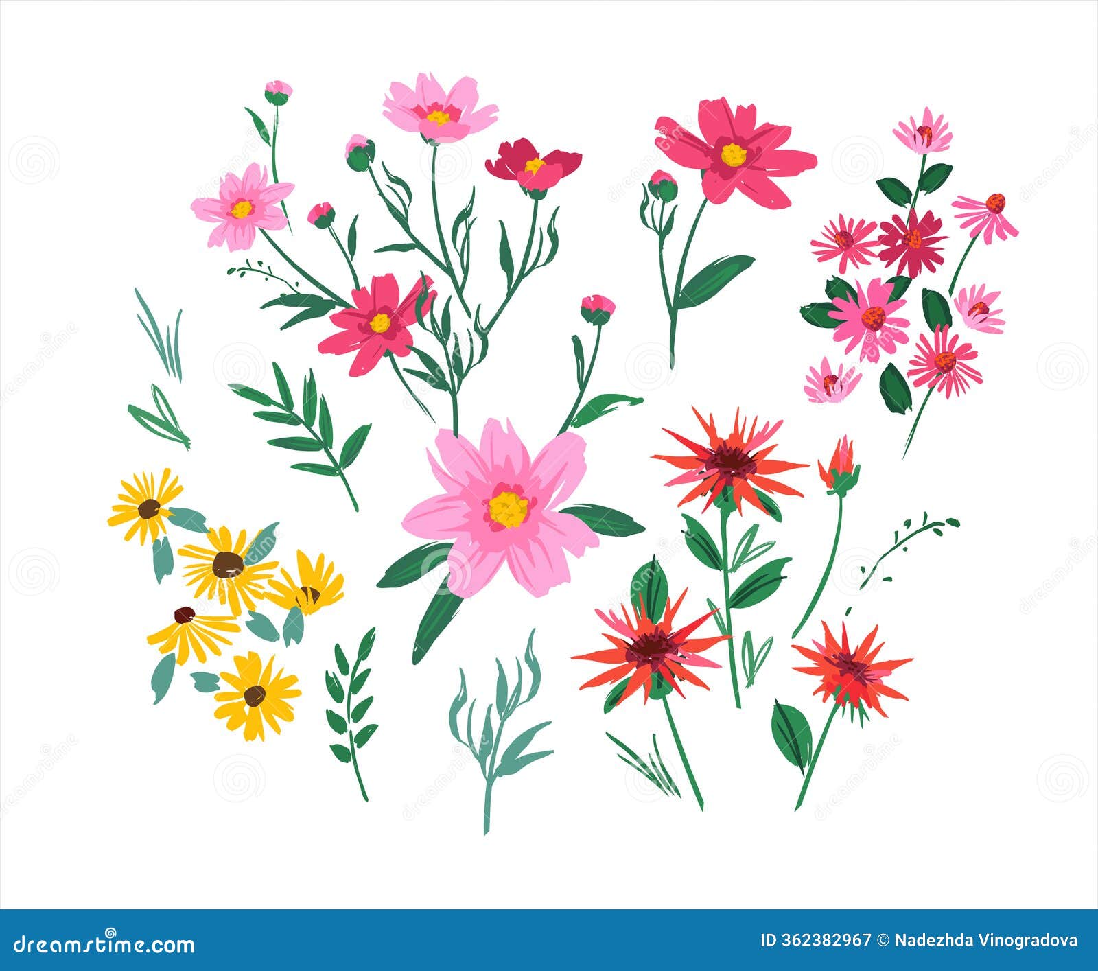 Set of Floral Design Isolated Elements. Flowers, Buds, Stems, Leaves ...