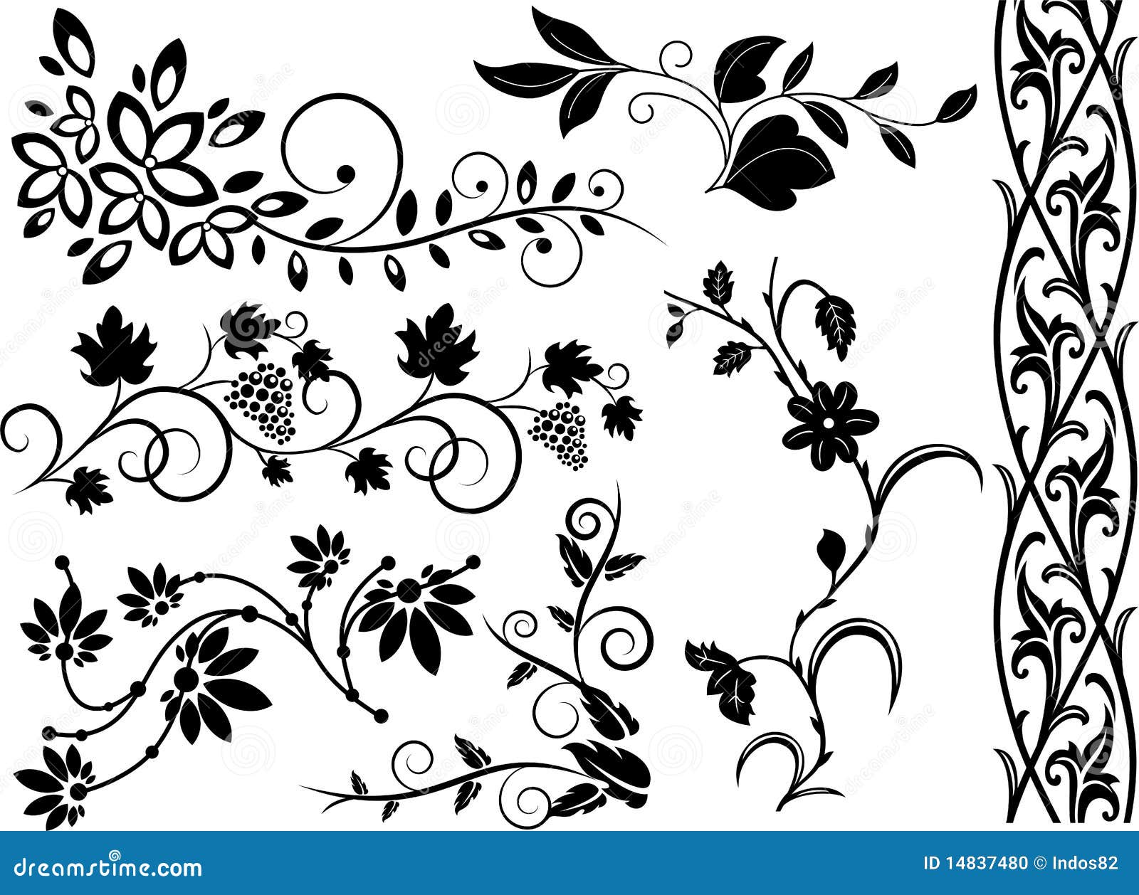 Set of floral elements stock vector. Illustration of flower - 14837480