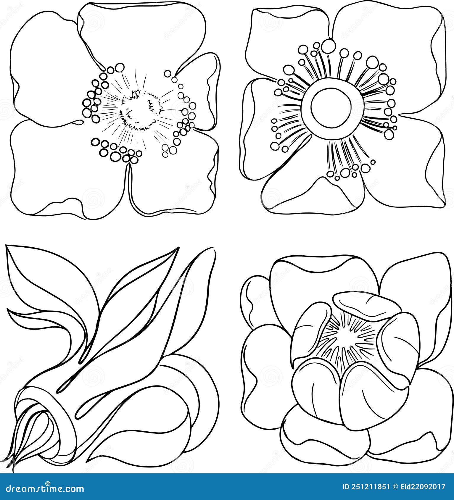Set of Floral Elements. One Line Hand Drawn Illustration Isolate on ...