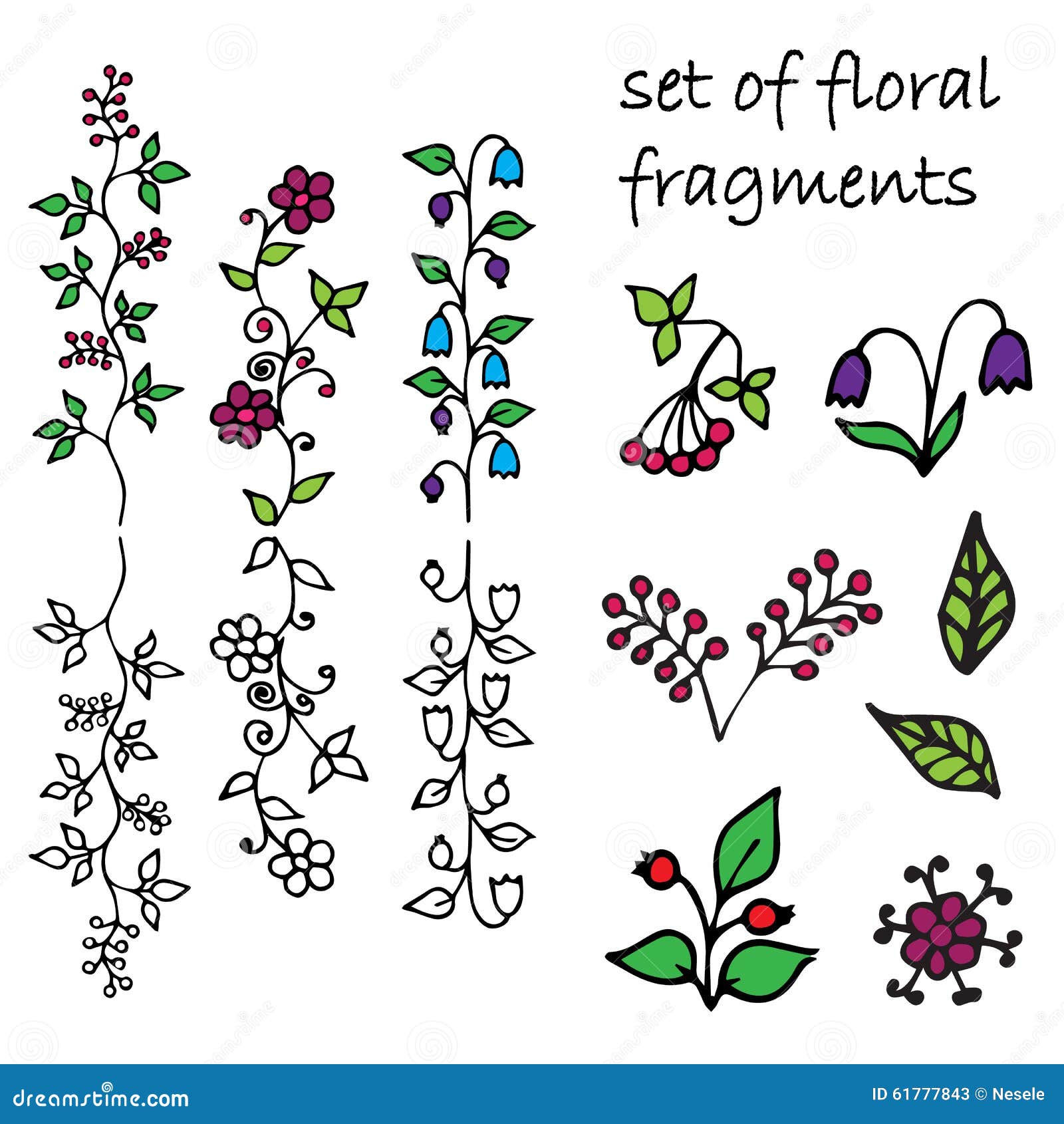 Set Of Floral Fragments Stock Vector Illustration Of Hand 61777843