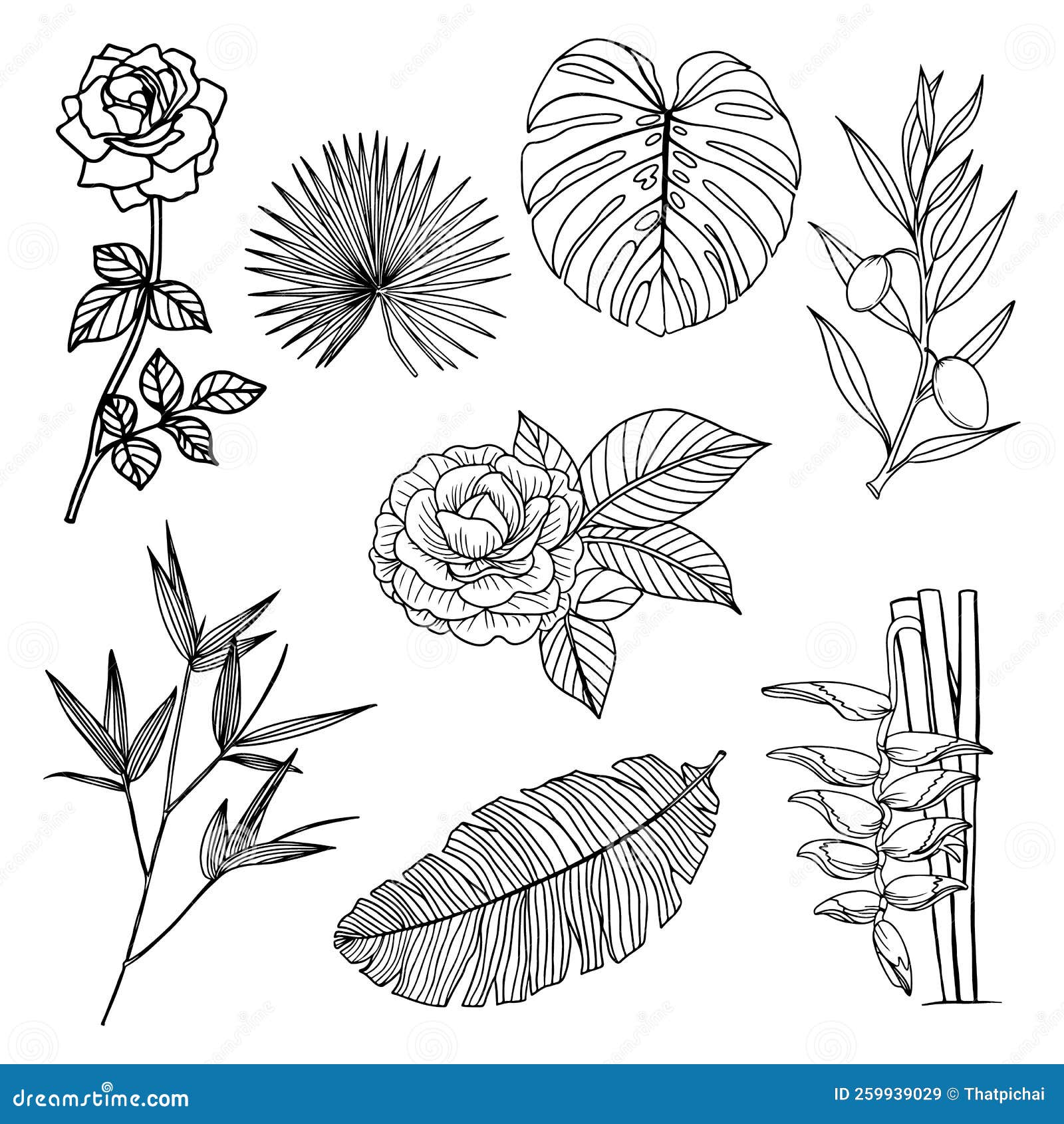 Set of Flower and Leaf Line Art, Flora Clipart. Stock Illustration ...