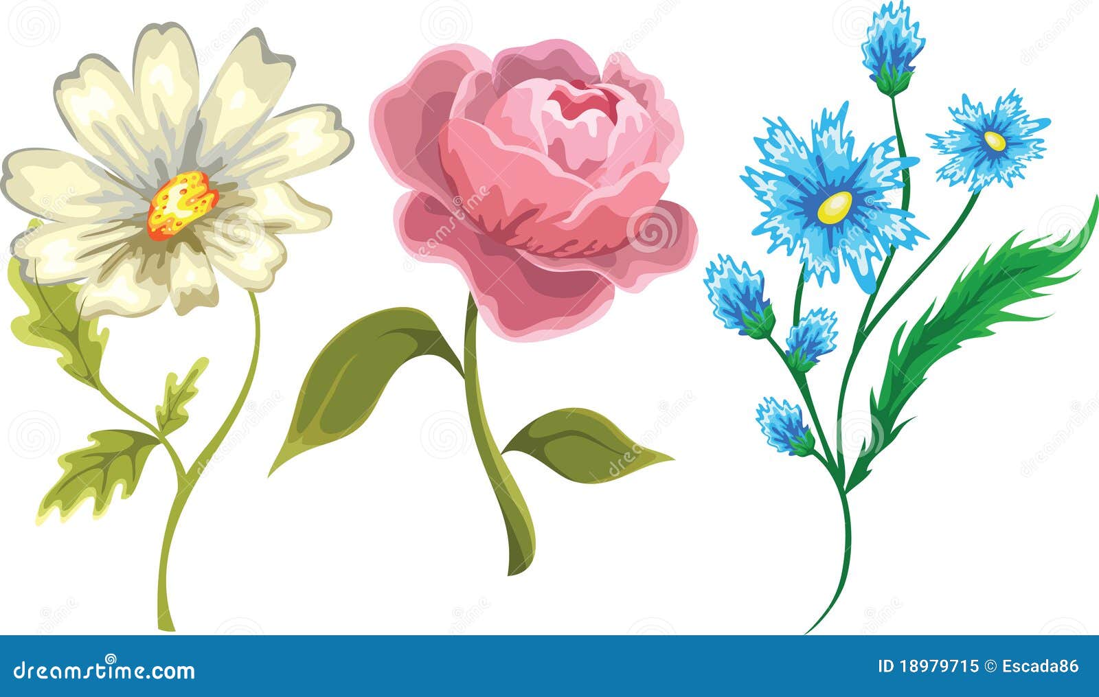 Set of flowers stock vector. Illustration of decorative - 18979715