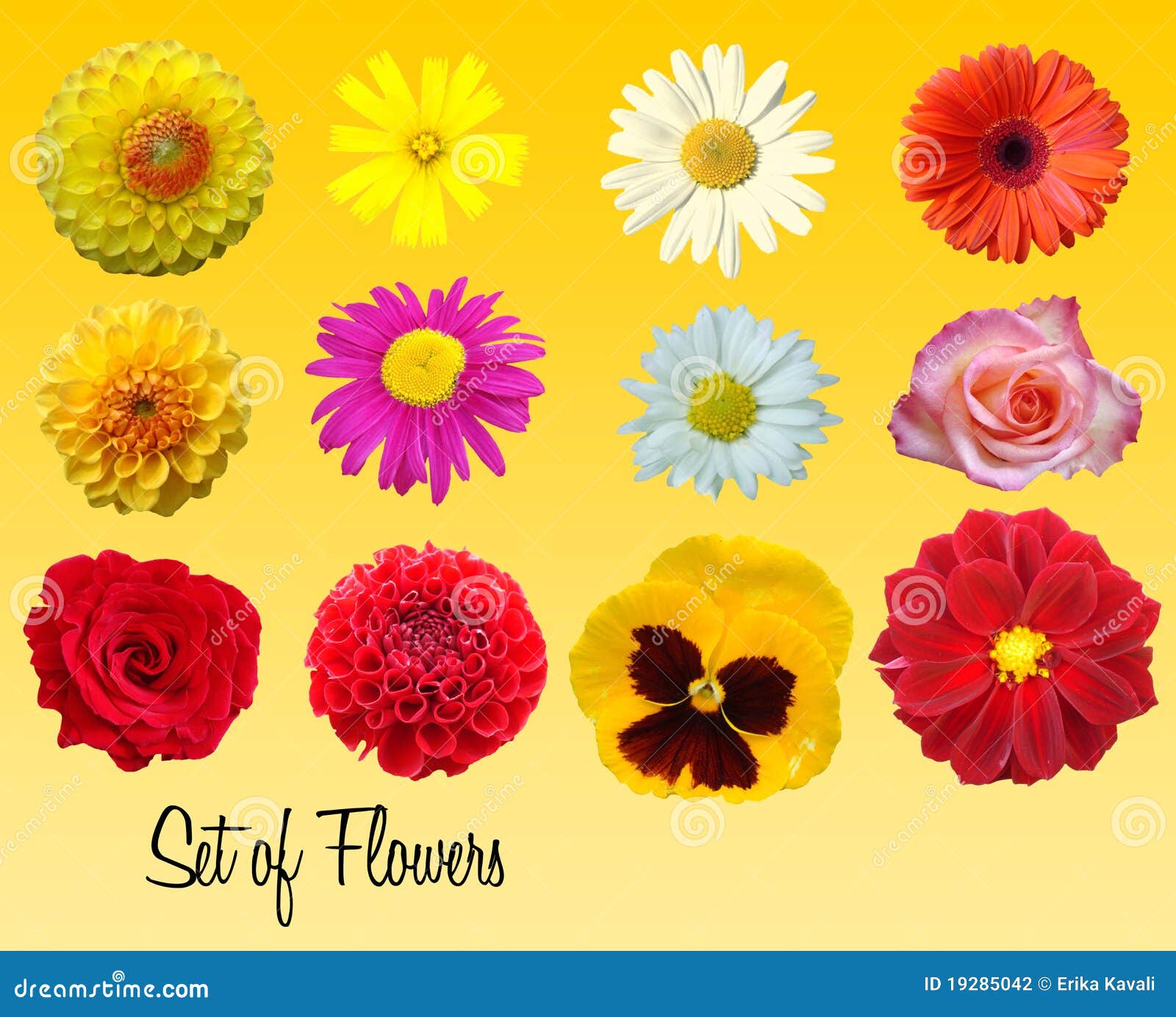 Set of flowers stock illustration. Illustration of elements - 19285042