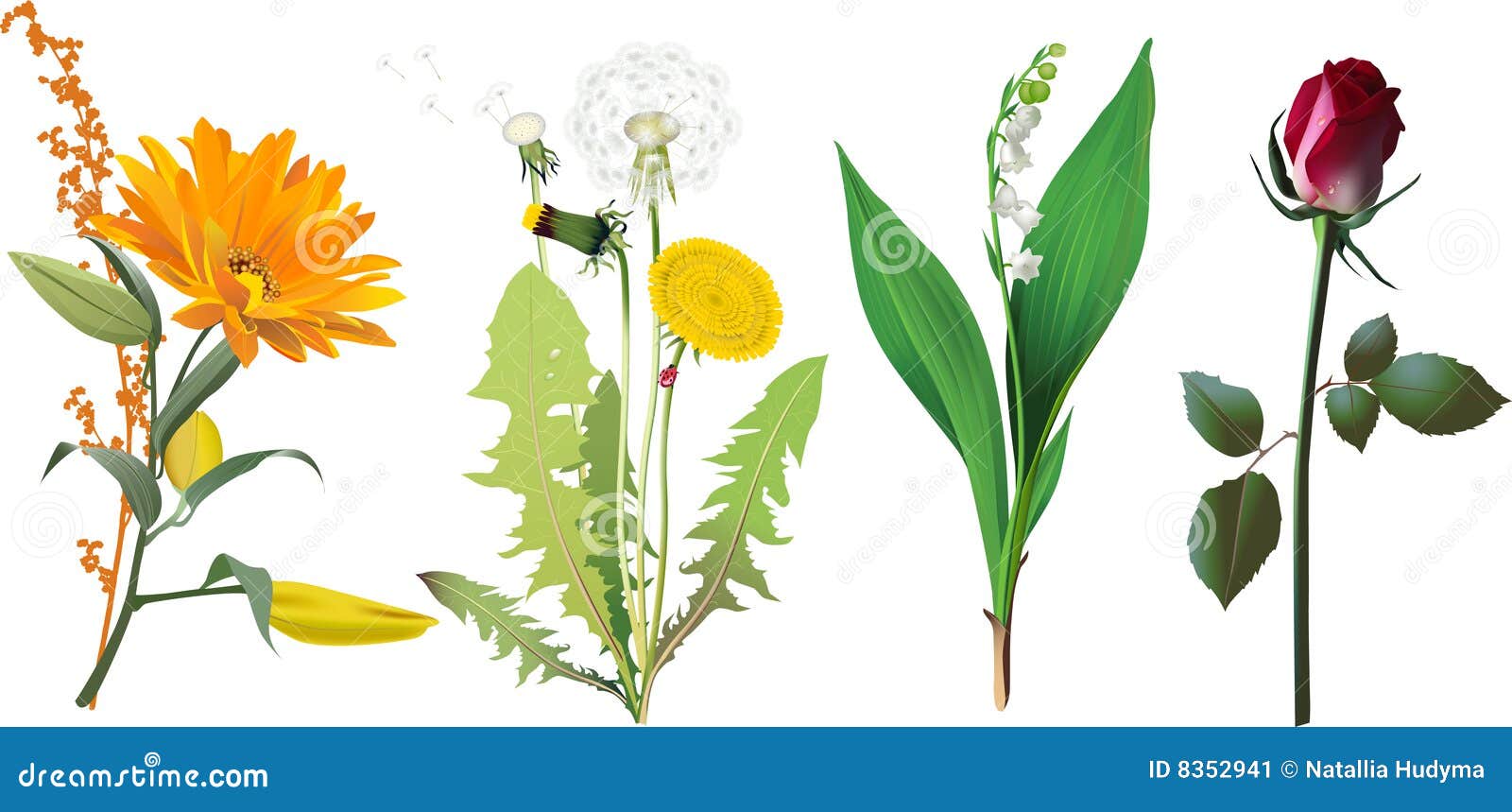 Set of flowers. stock vector. Illustration of plant, nature - 8352941