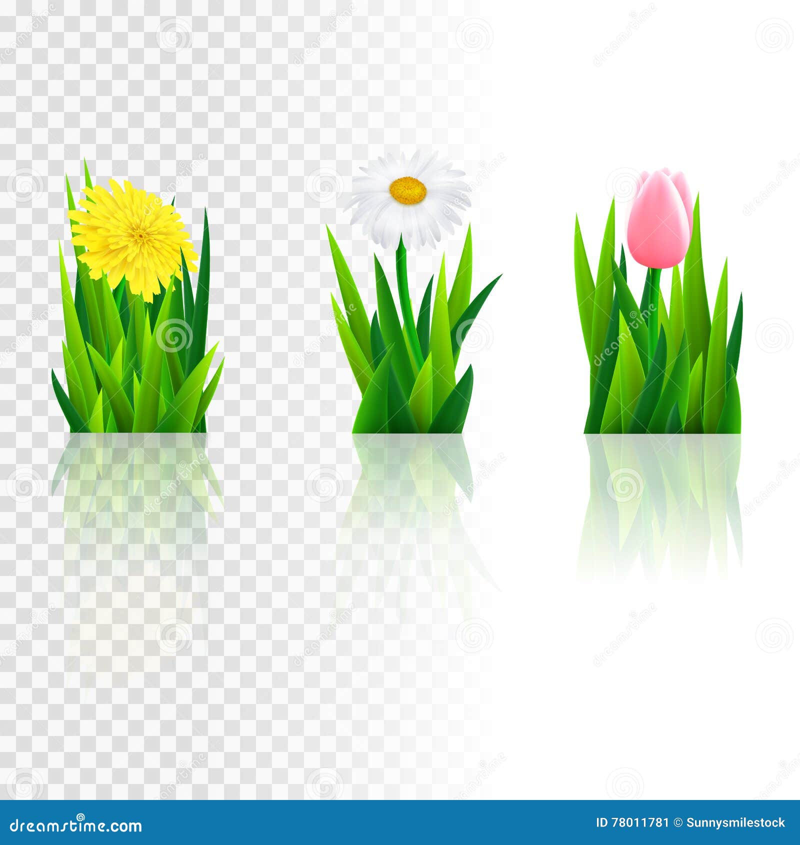 Set of flowers with grass stock vector. Illustration of dandelion ...