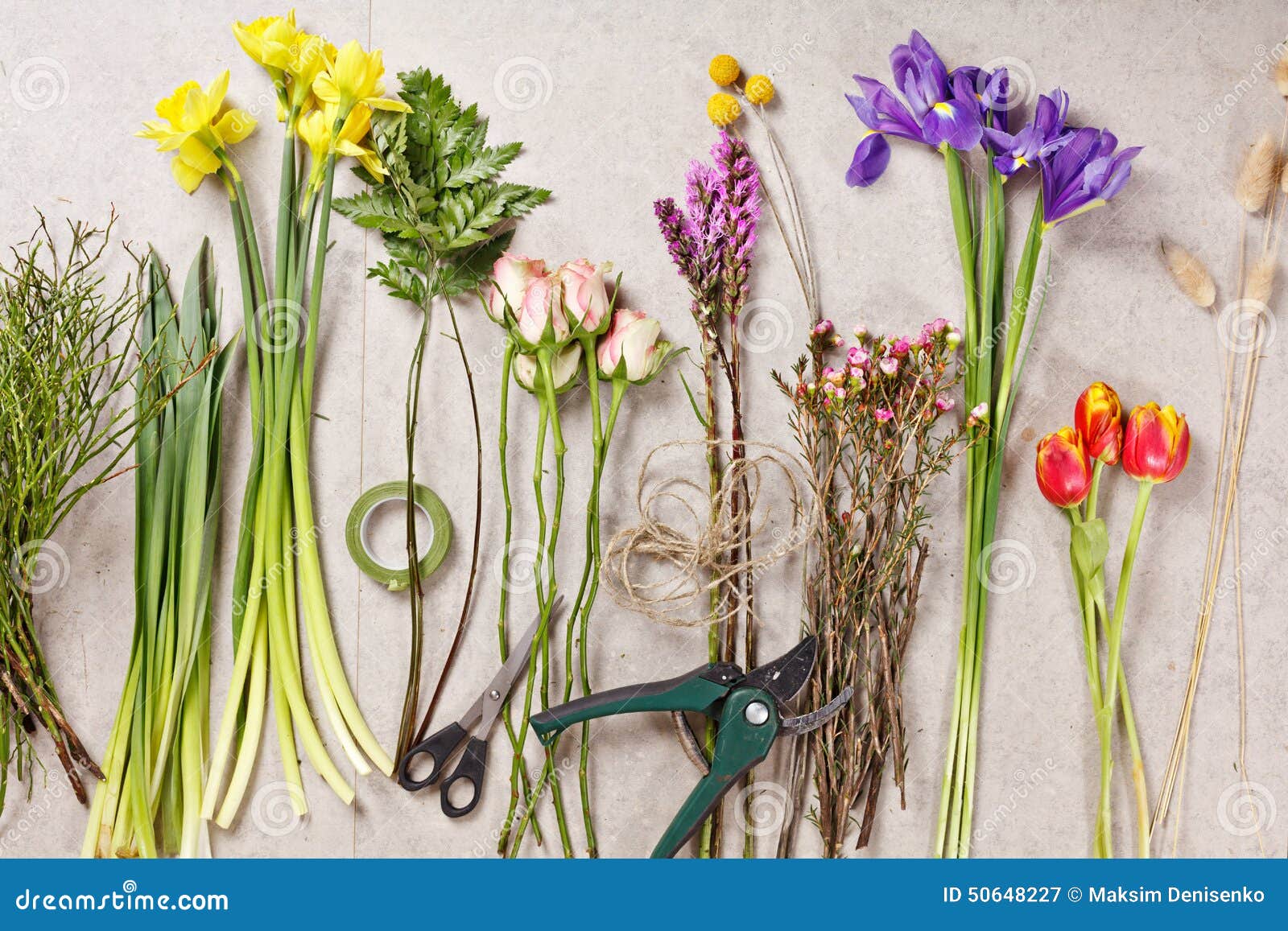 Set of Flowers for Making Bouquet with Instrument Stock Image - Image ...