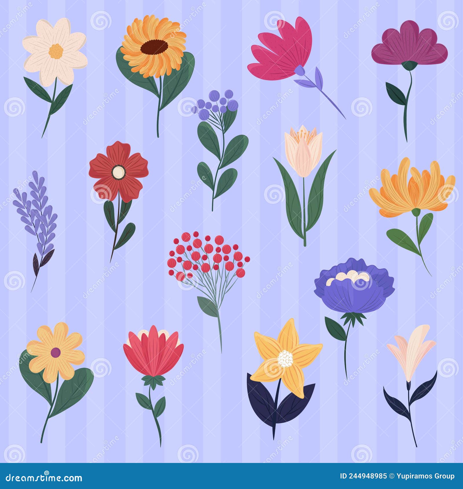 Set flowers nature stock vector. Illustration of collection - 244948985