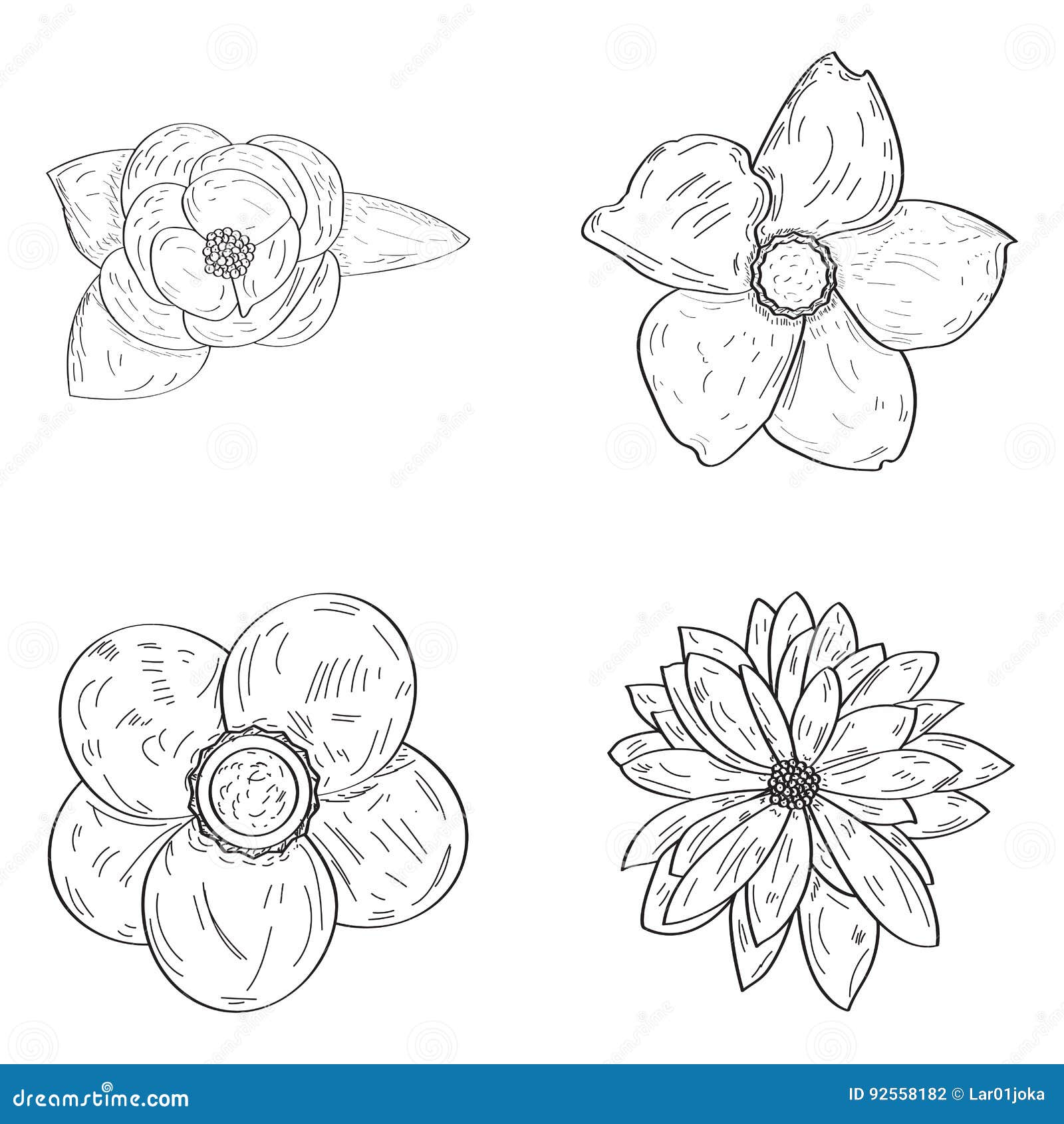 Set of flowers stock vector. Illustration of clipart - 92558182