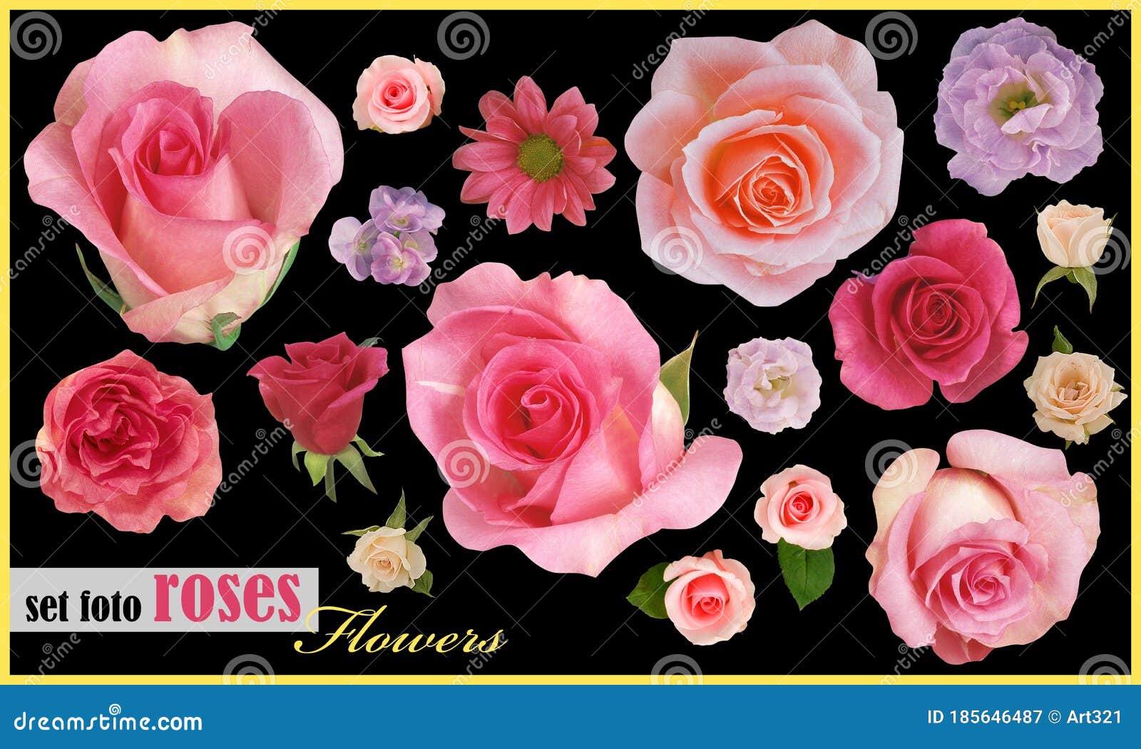 Set Flowers Roses Isolated on Black Background Stock Image - Image of ...