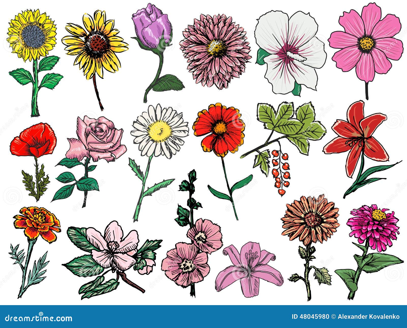 Set of flowers stock vector. Illustration of love, floral - 48045980