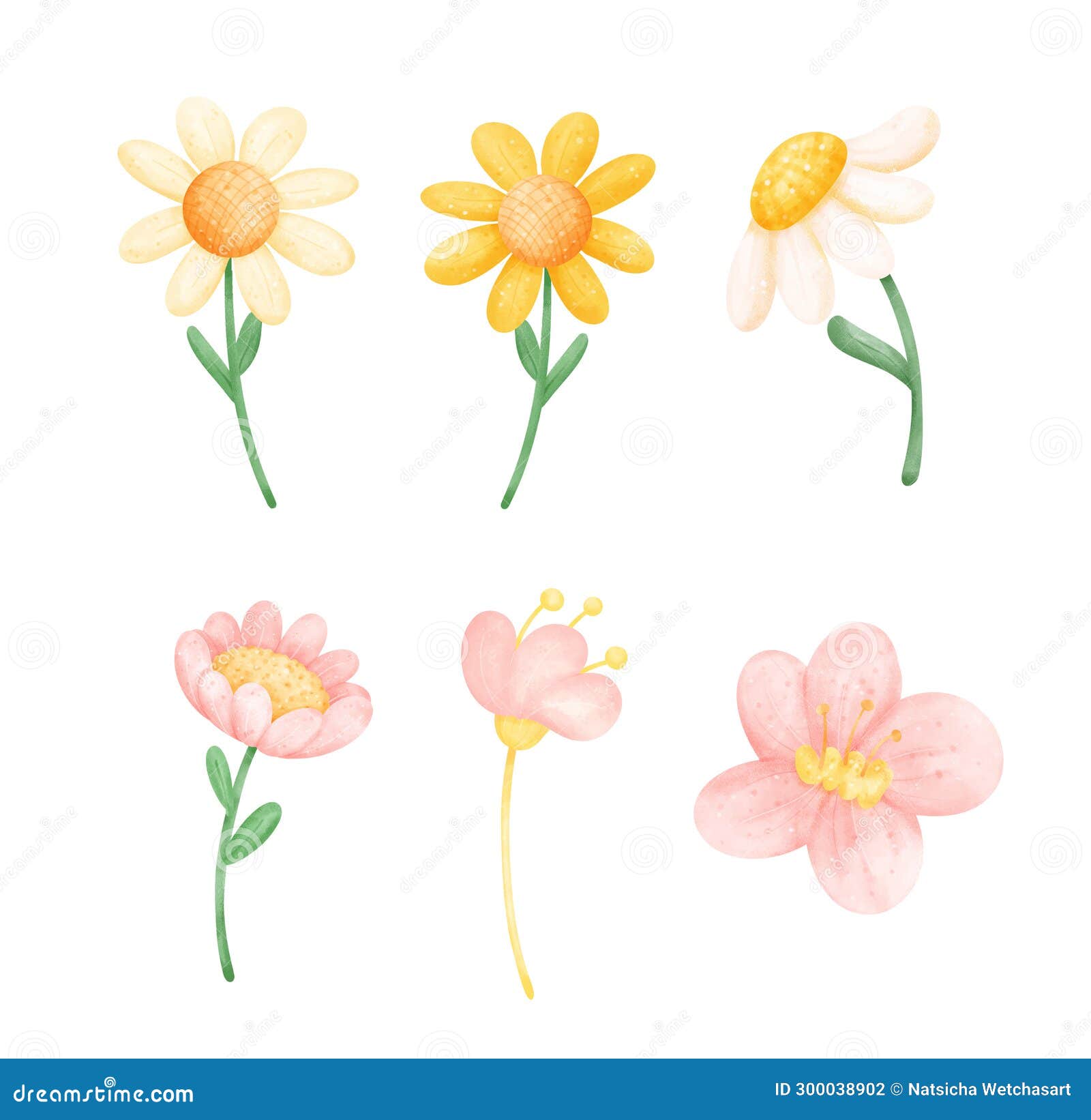 Set of Flowers with Stem Watercolor Hand Drawing Illustration Vector ...