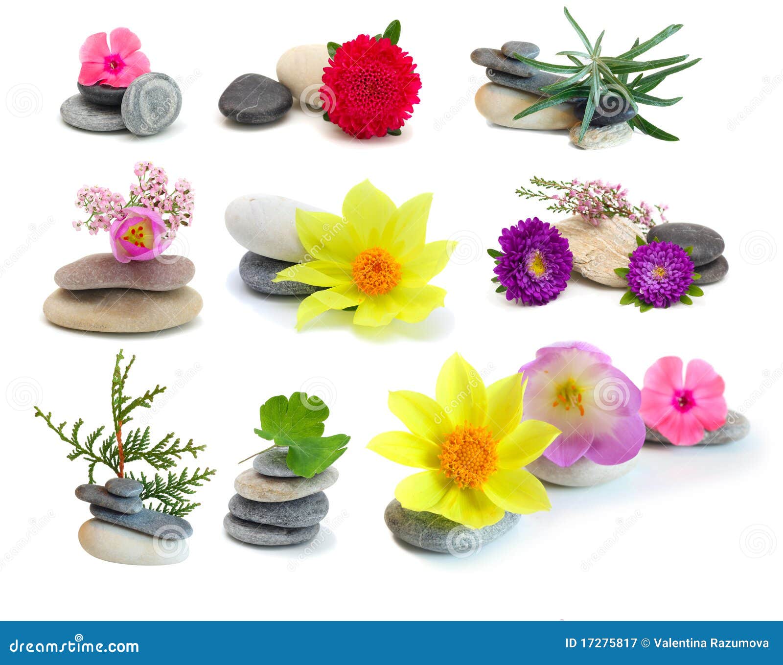 Set flowers and stones stock image. Image of shot, color - 17275817