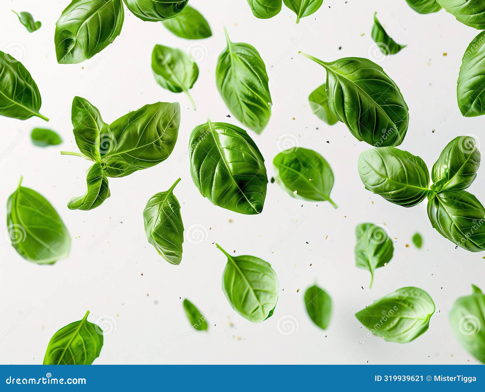 Set of Flying Basil Leaves on White Background with Clipping Path ...