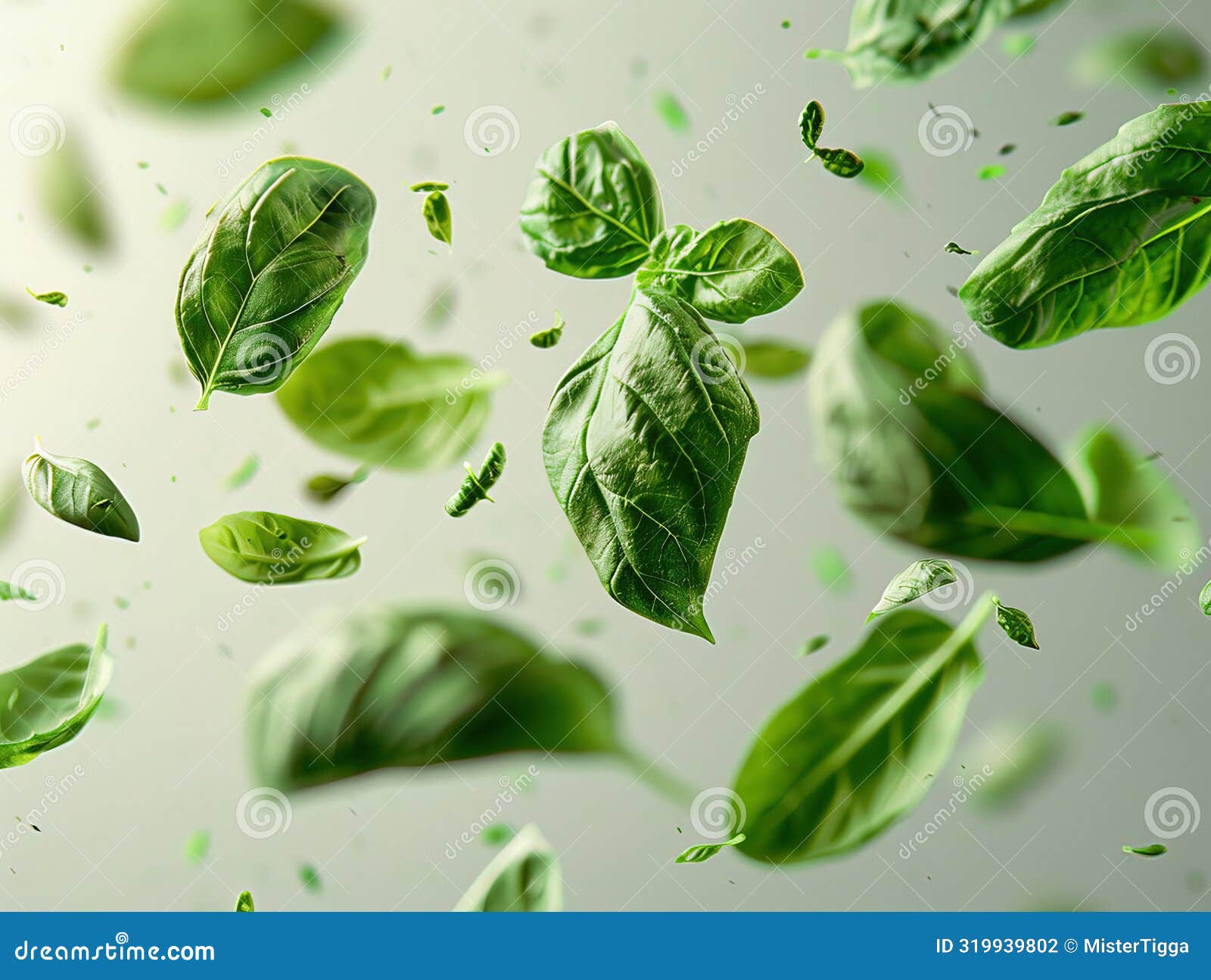 Set of Flying Basil Leaves on White Background with Clipping Path ...